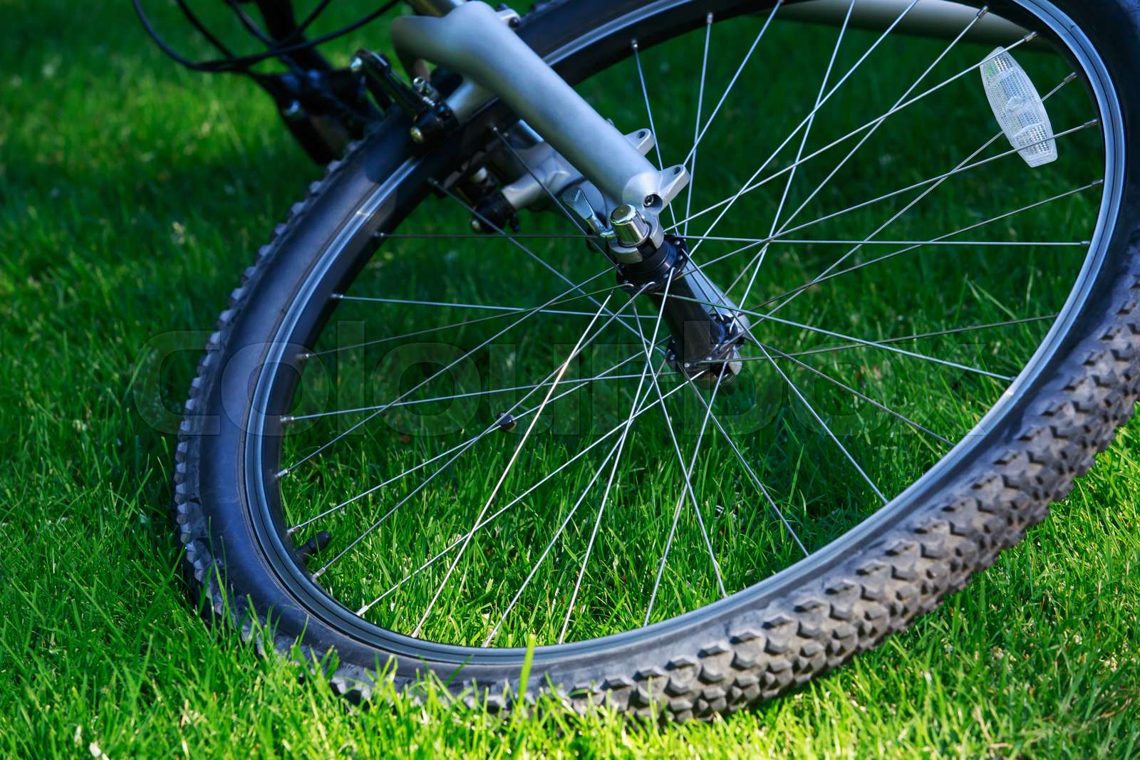 wheel of a mountain bike | Stock image | Colourbox