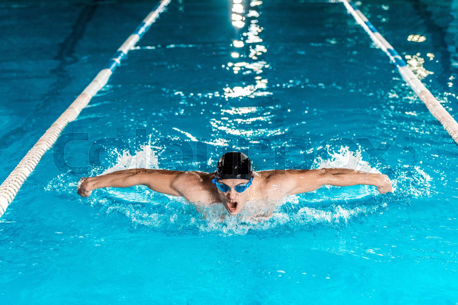 professional swimmer in pool | Stock image | Colourbox