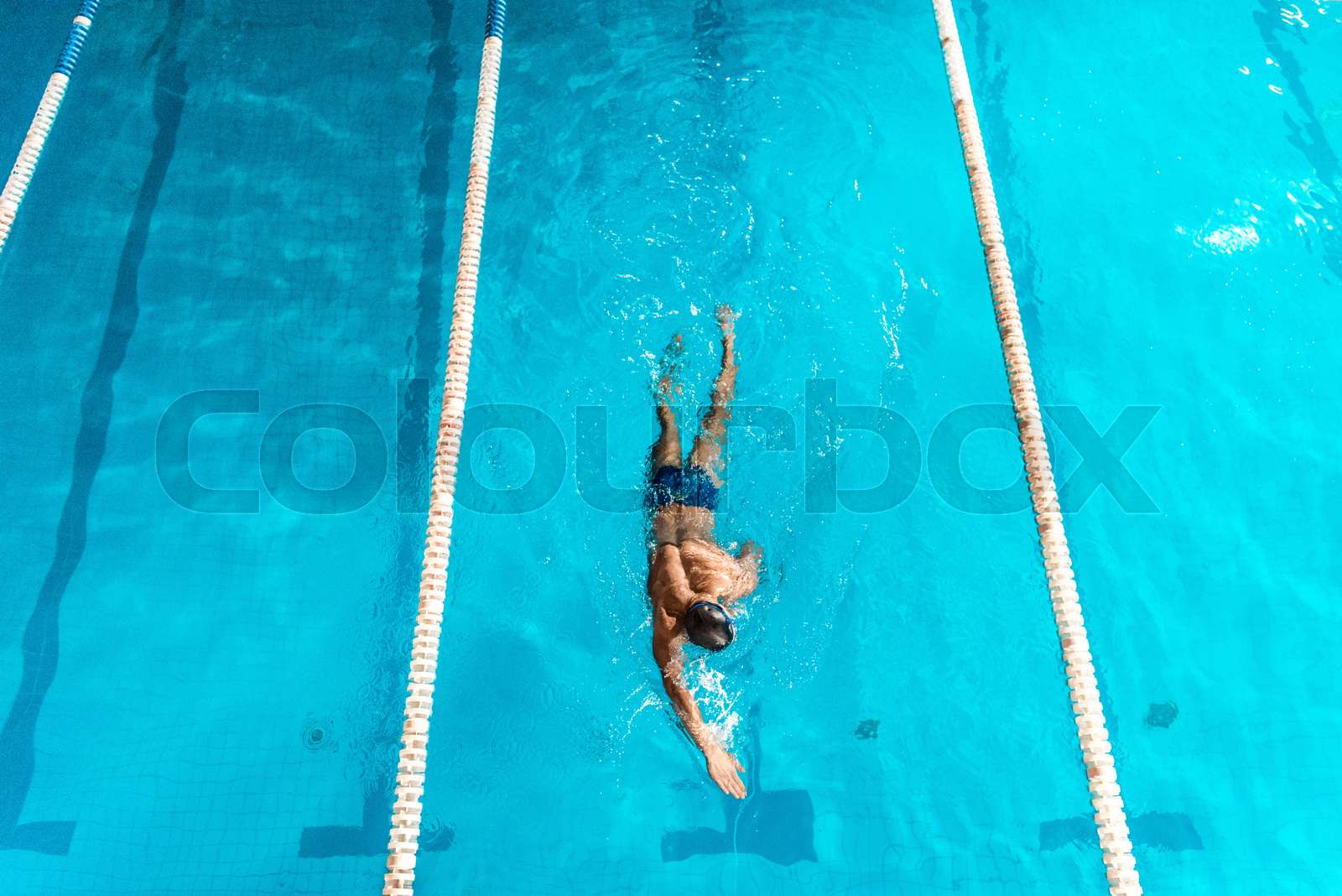 swimmer in competition swimming pool | Stock image | Colourbox