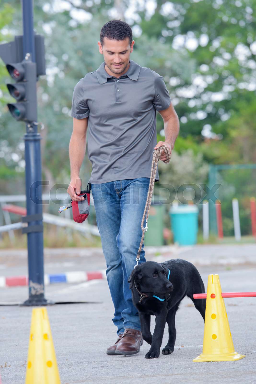 man training dog | Stock image | Colourbox