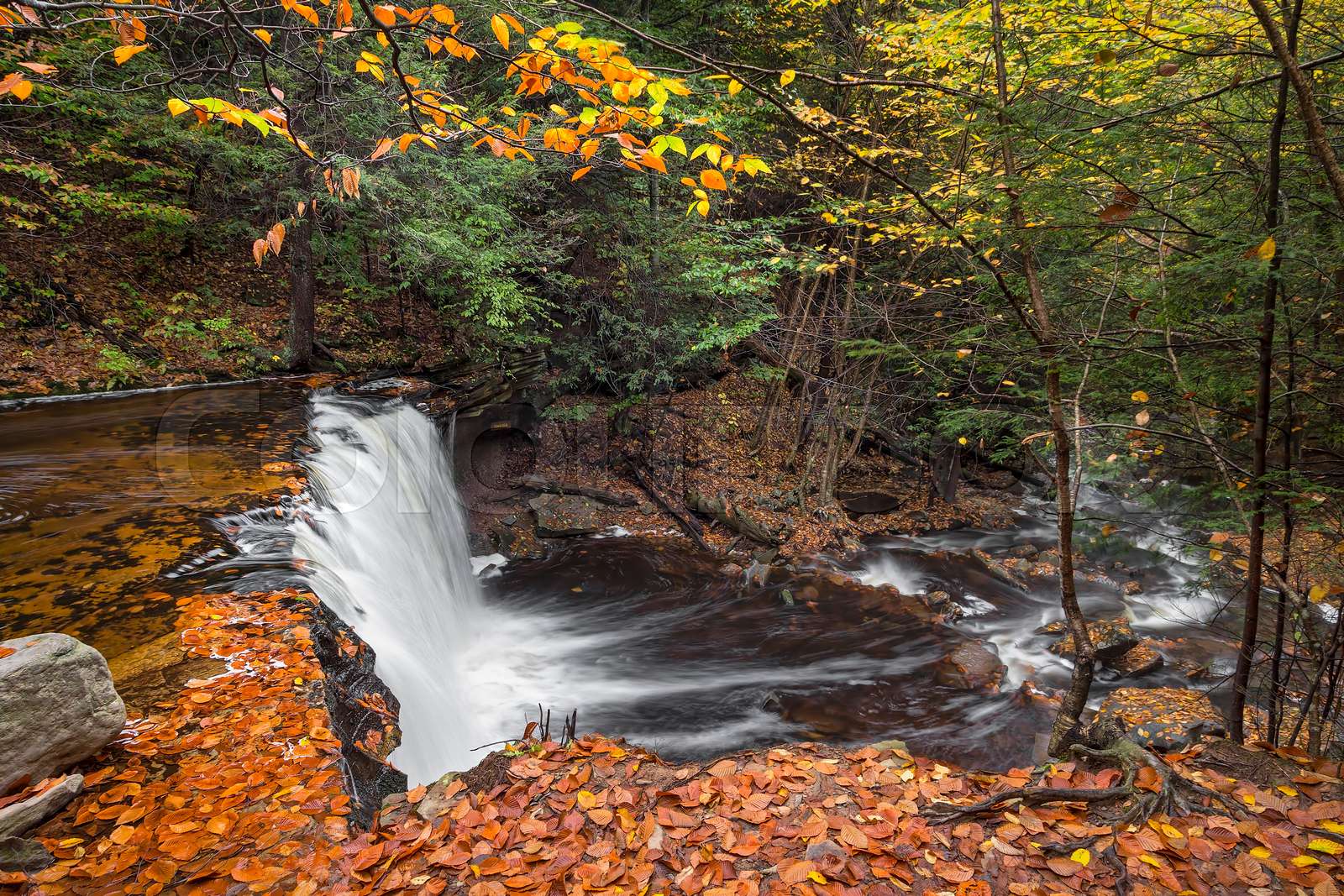 Above Oneida Falls | Stock image | Colourbox