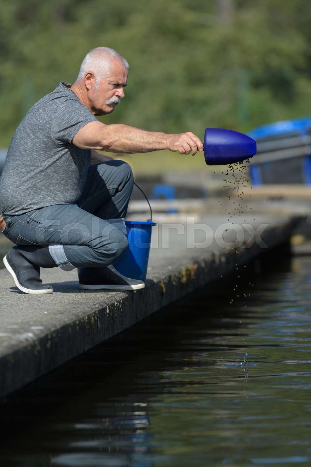Man in commercial fishery scooping pellets | Stock image | Colourbox