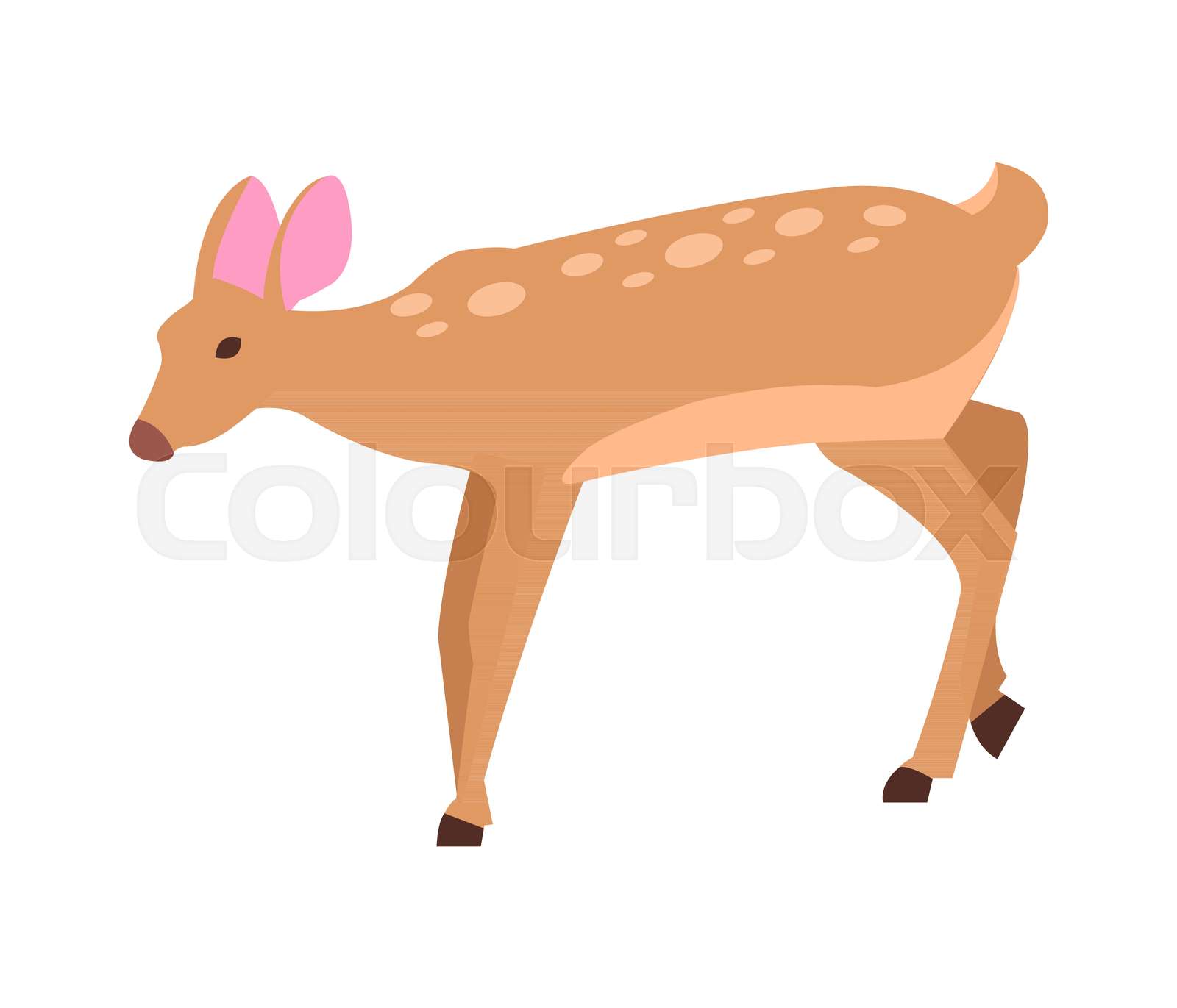 Adult Doe Isolated Vector in Cartoon Style Icon | Stock vector | Colourbox