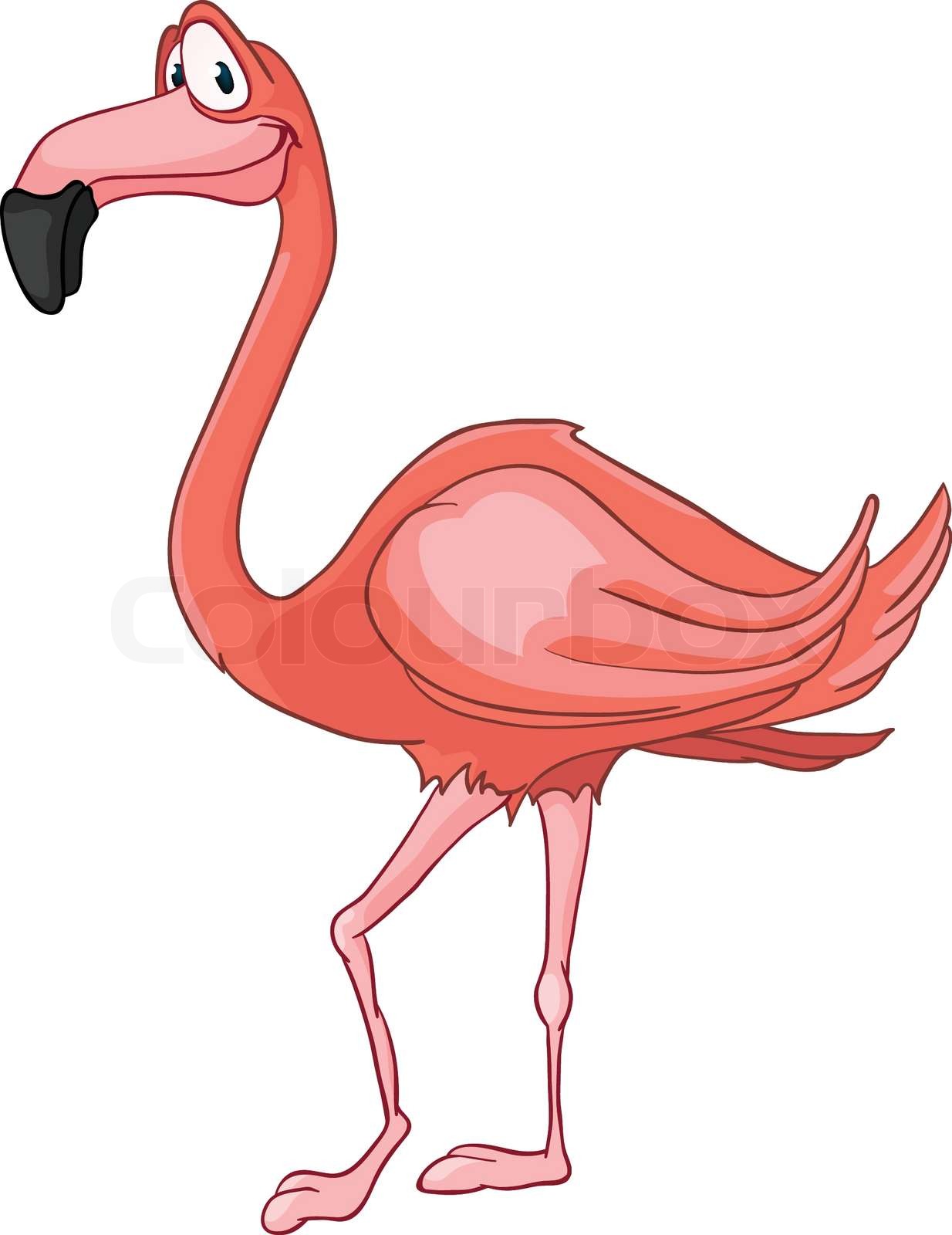 Funny Pink Flamingo Isolated on white Background Vector | Stock vector ...