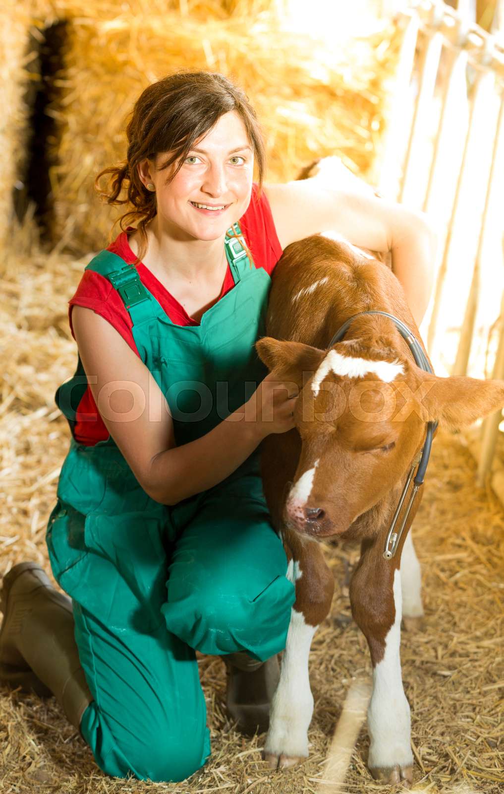 Veterinary on a farm | Stock image | Colourbox