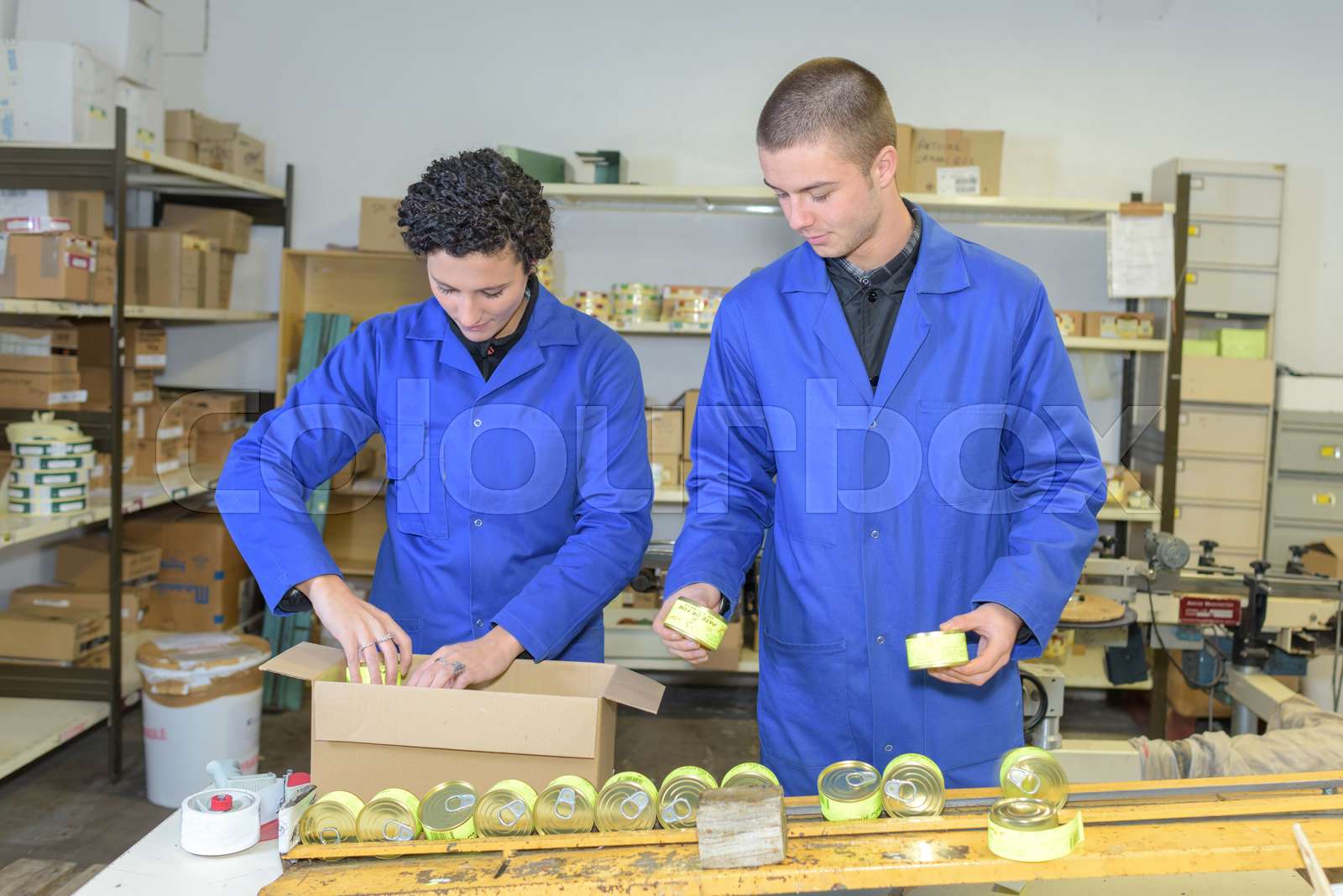 Factory workers packing tins into box | Stock image | Colourbox