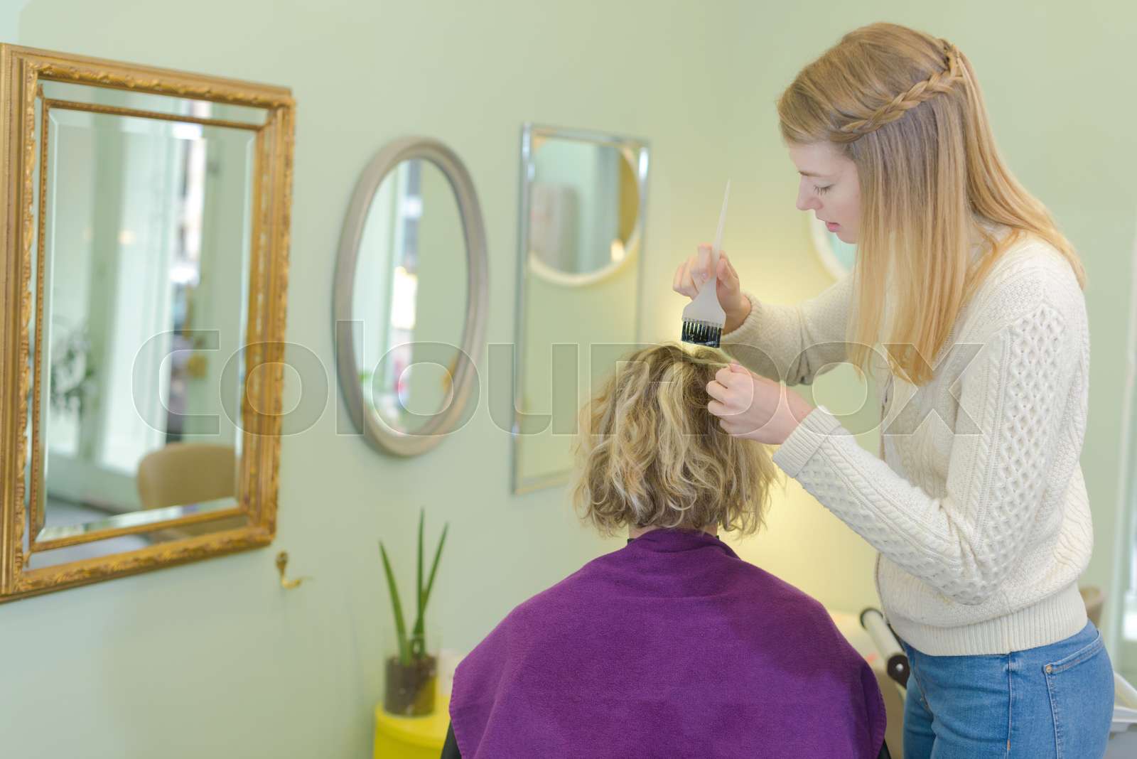 picture on hair coloring process at home | Stock image | Colourbox