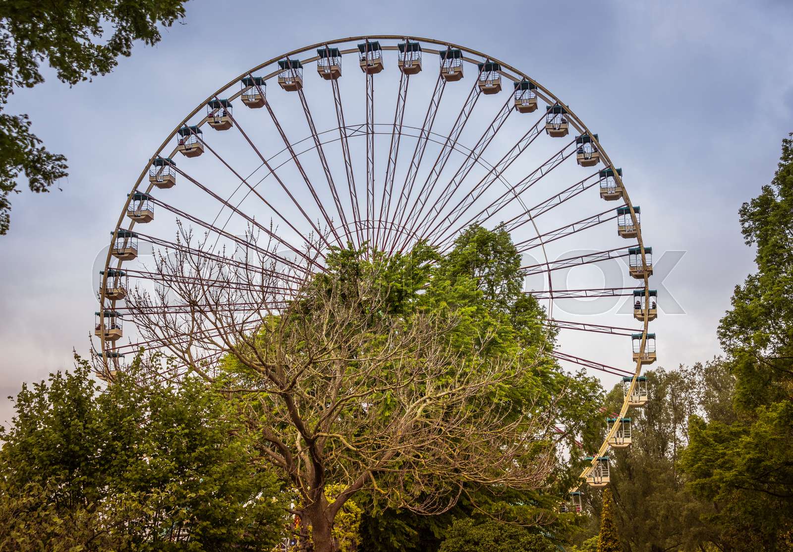 Ferris wheel in atraction park | Stock image | Colourbox