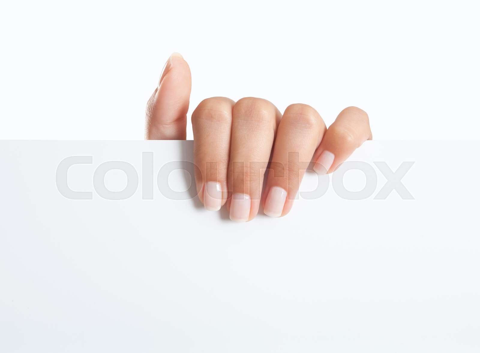 Hand holding sign | Stock image | Colourbox