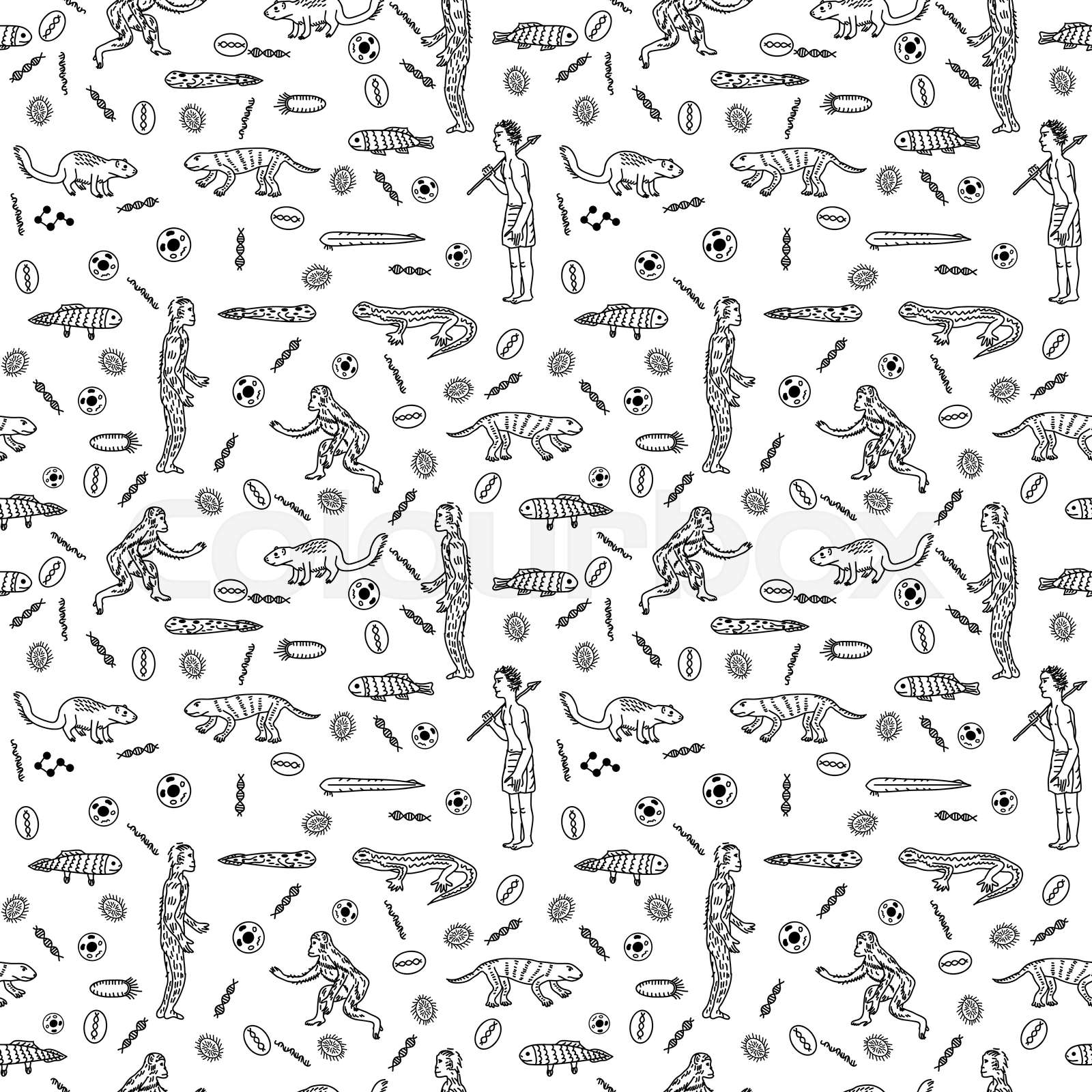Seamless Evolution Pattern Stock Vector Colourbox