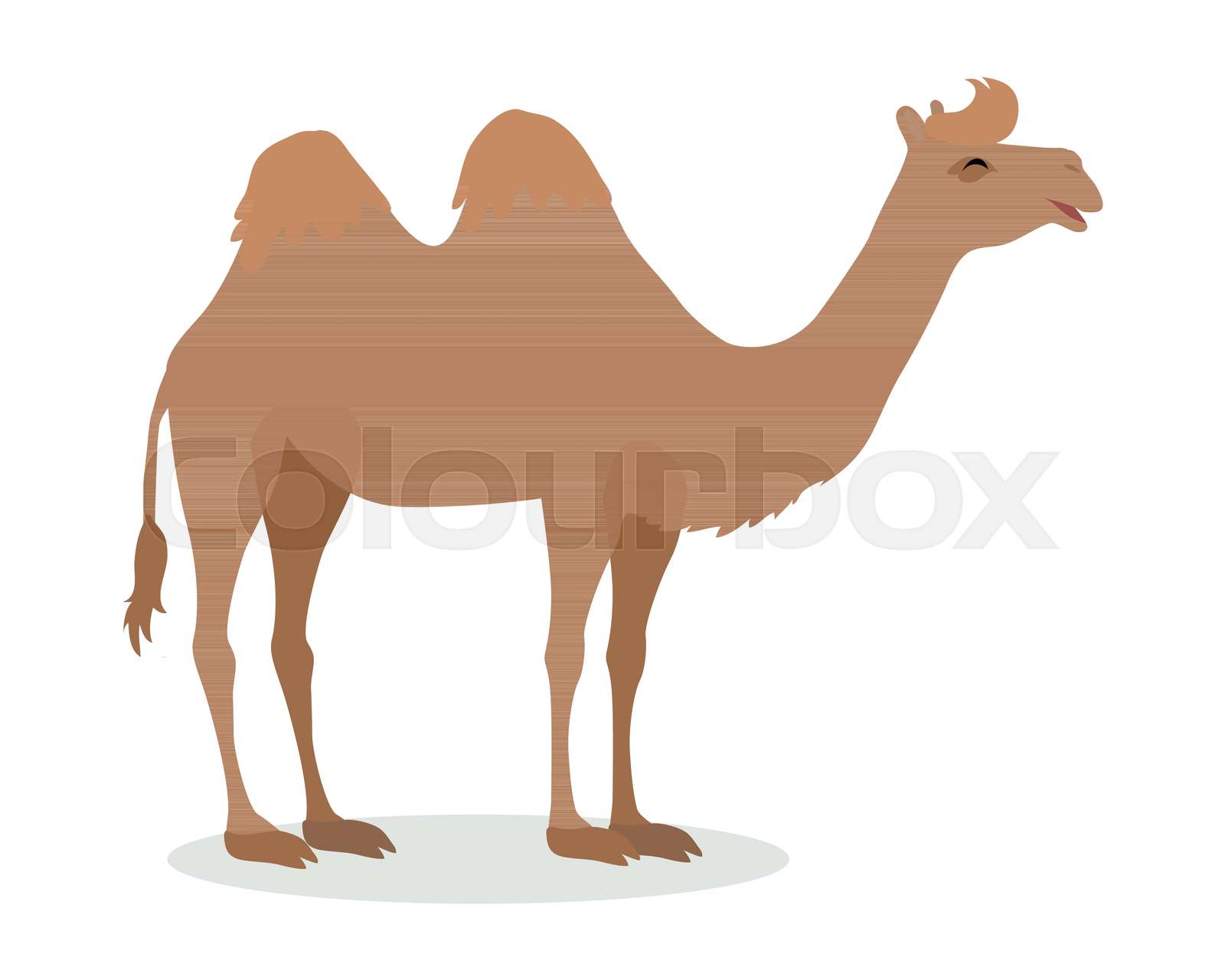Bactrian Camel Cartoon Icon in Flat Design | Stock vector | Colourbox