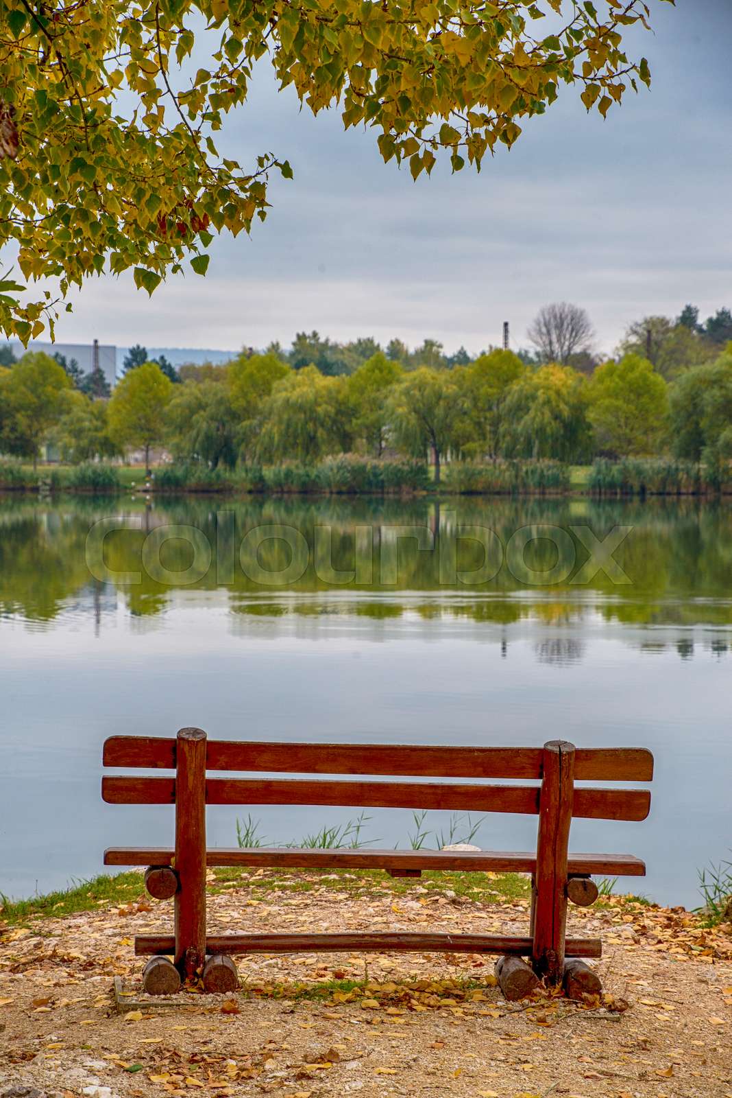 Bench on the lake shore | Stock image | Colourbox