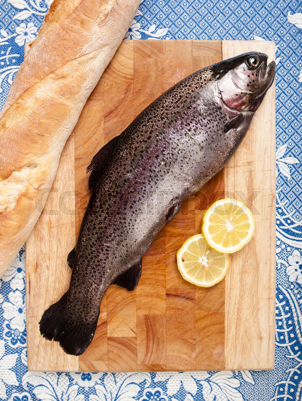 freshly caught trout fishing | Stock image | Colourbox