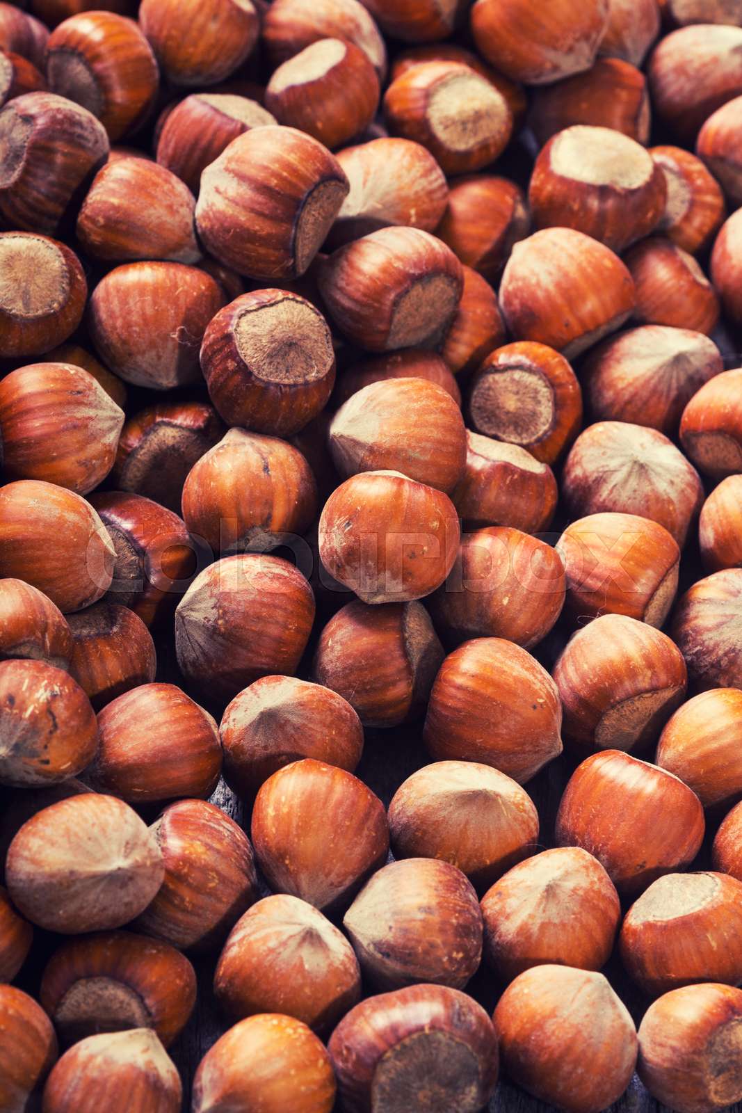 Group of hazelnuts texture | Stock image | Colourbox