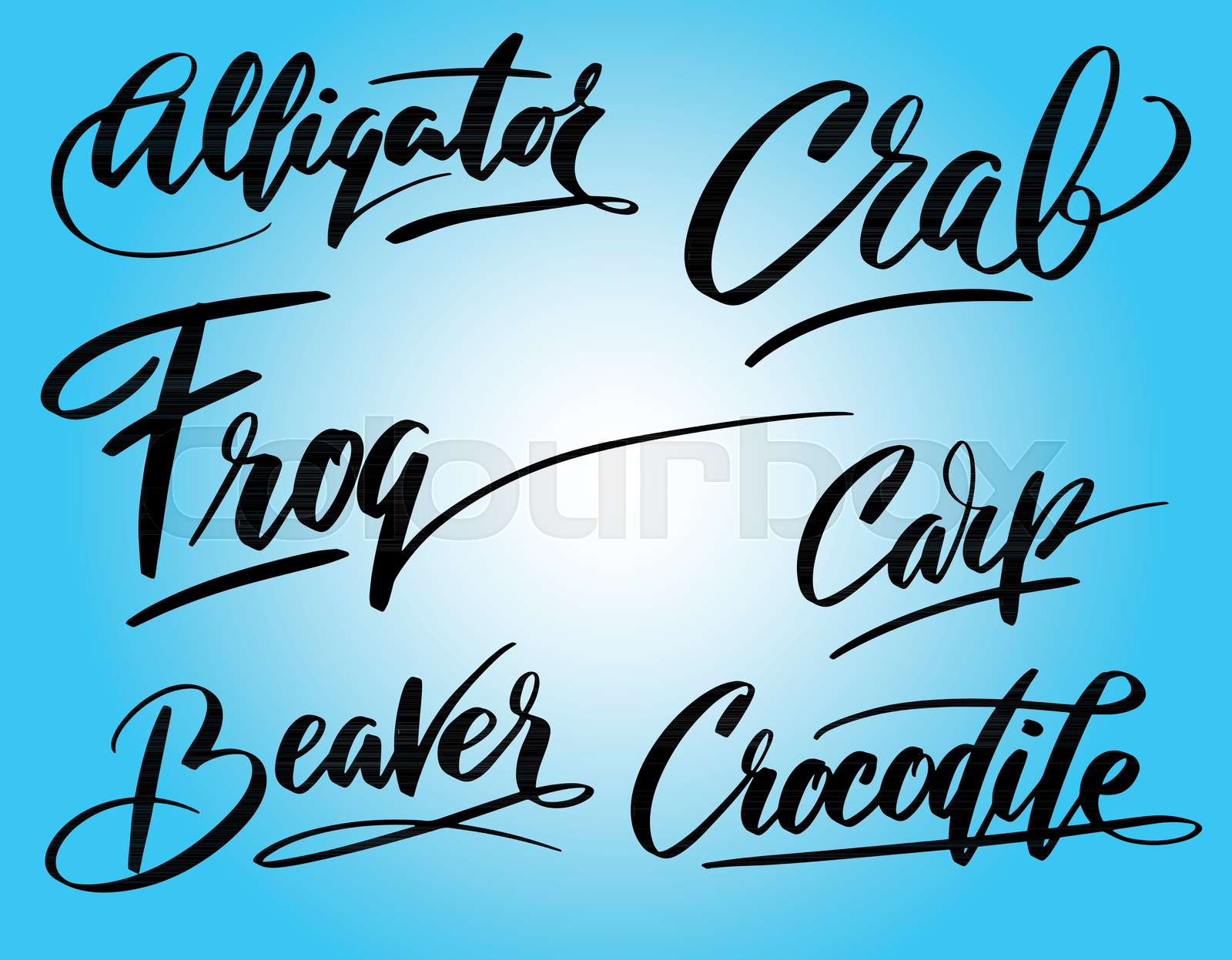 frog and crab calligraphy | Stock vector | Colourbox