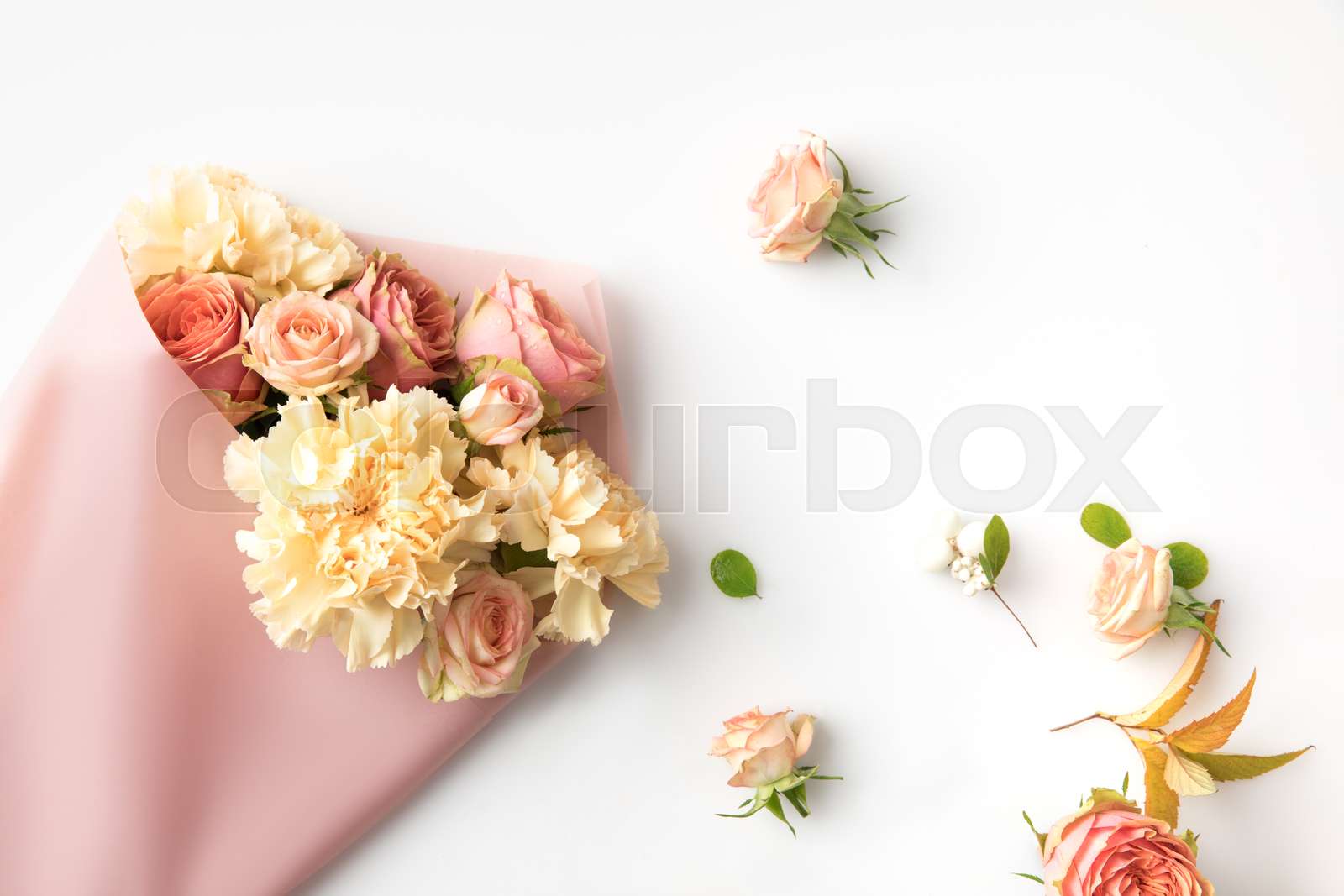 pink roses in paper wrap | Stock image | Colourbox