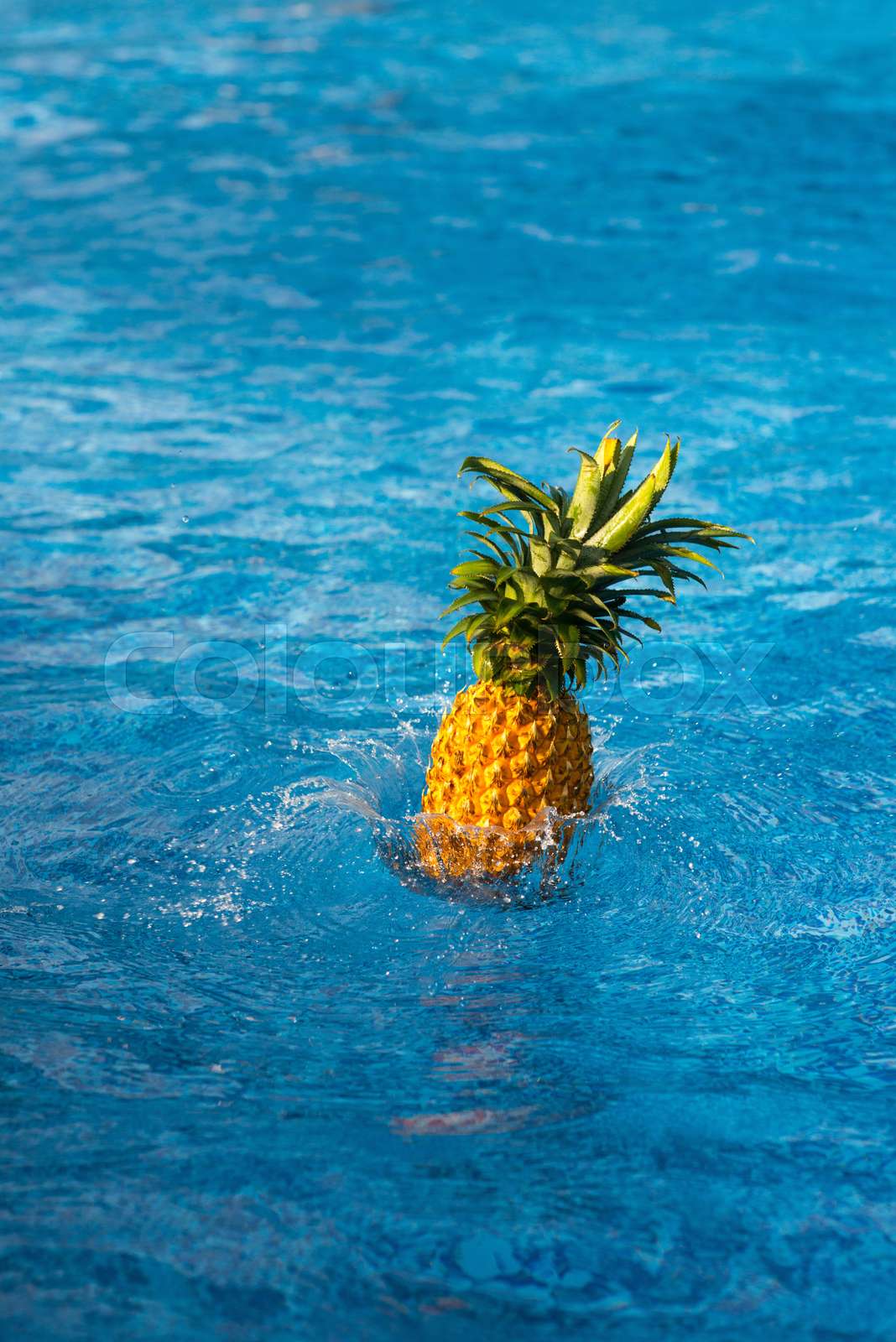 pineapple falling in water | Stock image | Colourbox