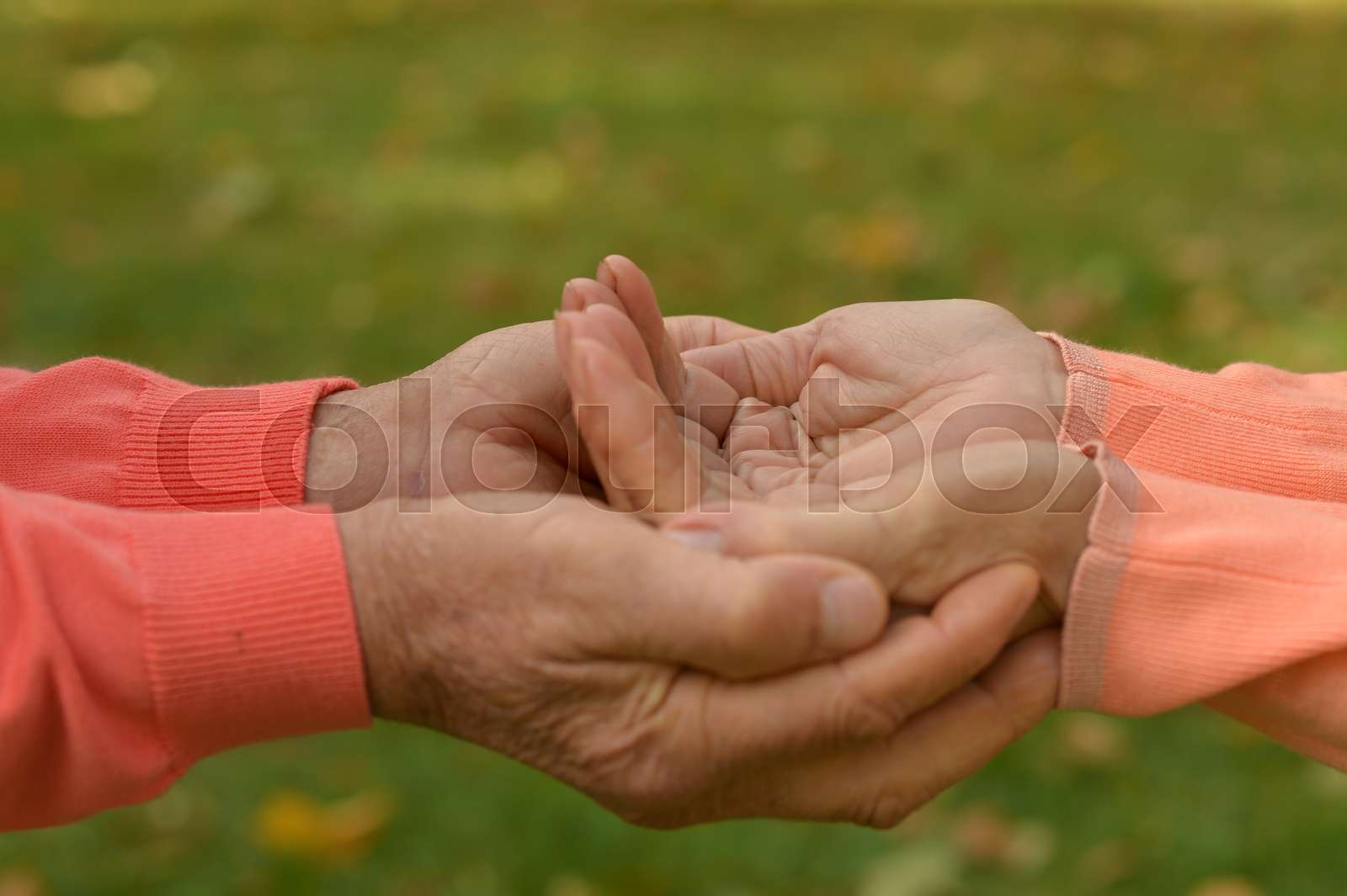 Elderly couple holding hands | Stock image | Colourbox