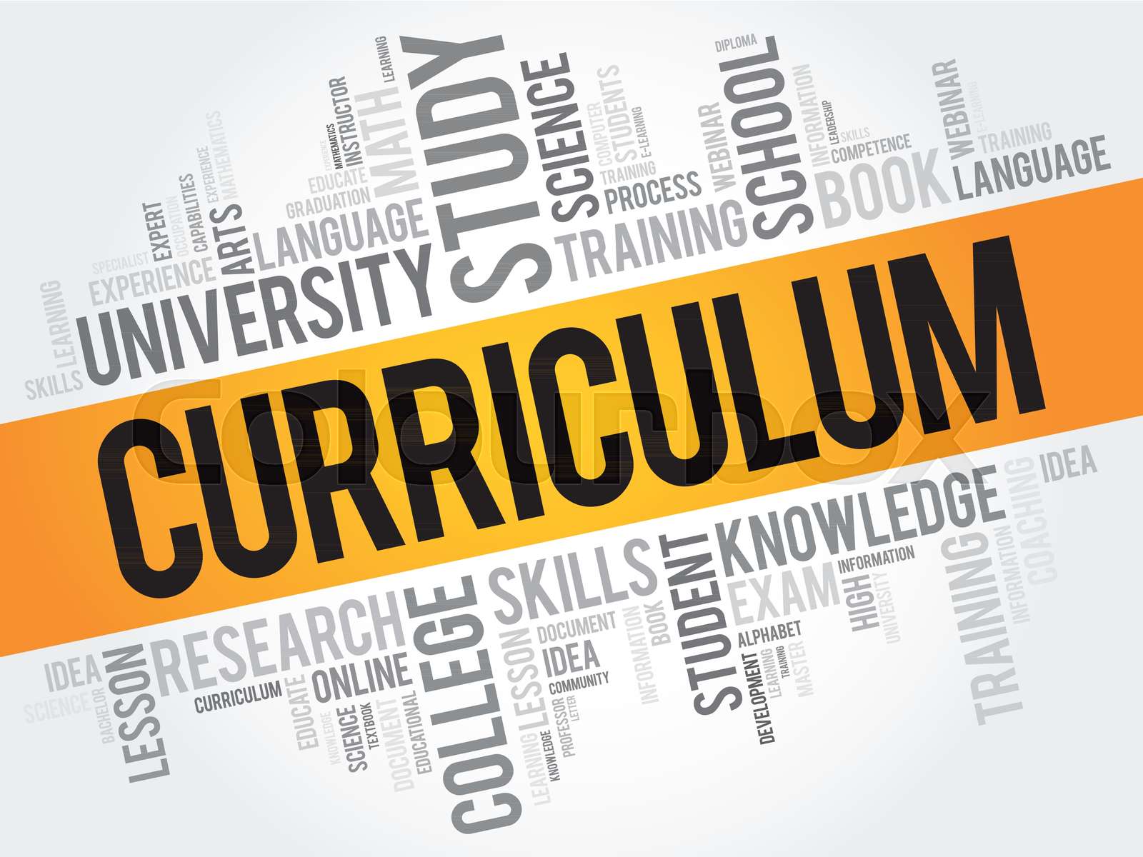 CURRICULUM word cloud collage | Stock vector | Colourbox