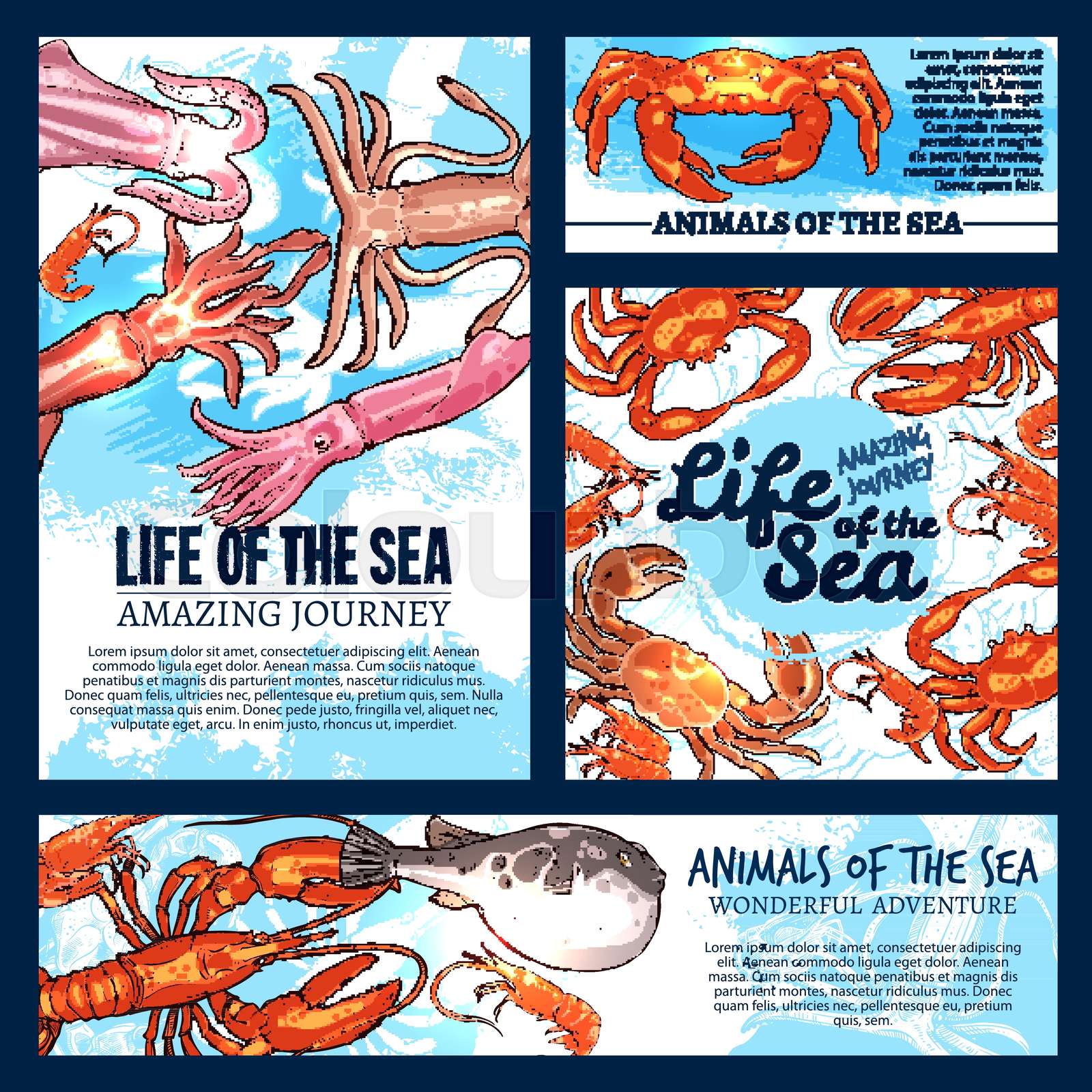 Vector sea life posters of sketch fish animals | Stock vector | Colourbox