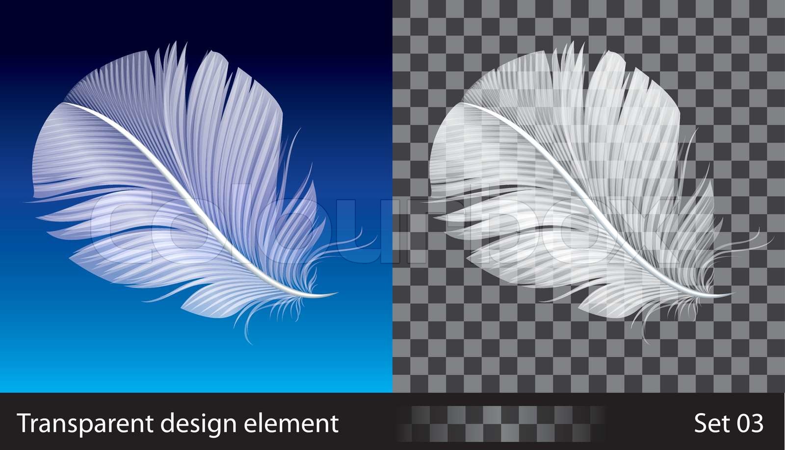 Feather, vector illustration with transparent effectEPS 10 file ...
