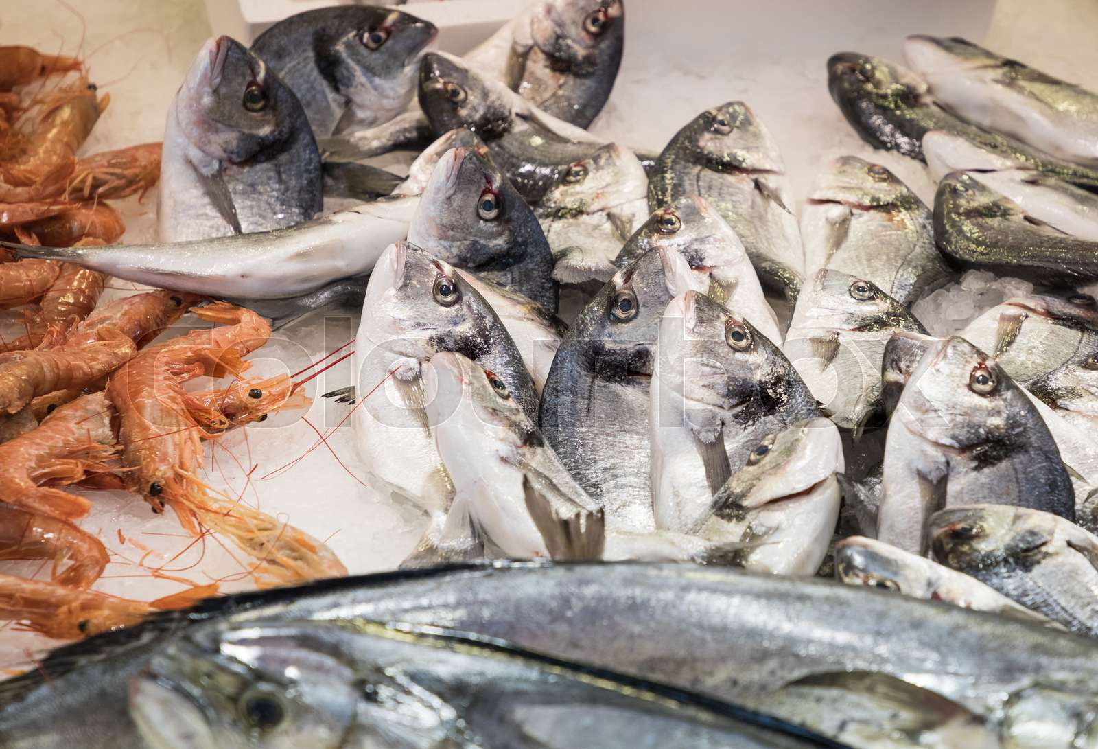 Colorful choice of fish at traditional market in Palermo, Sicily, Italy ...