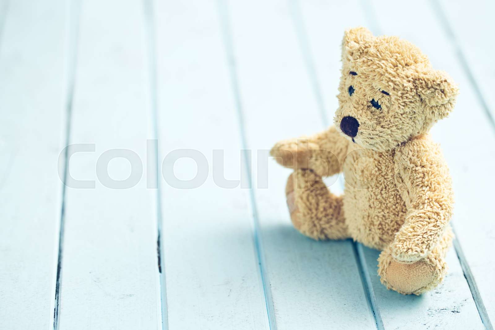 teddy bear on blue table | Stock image | Colourbox