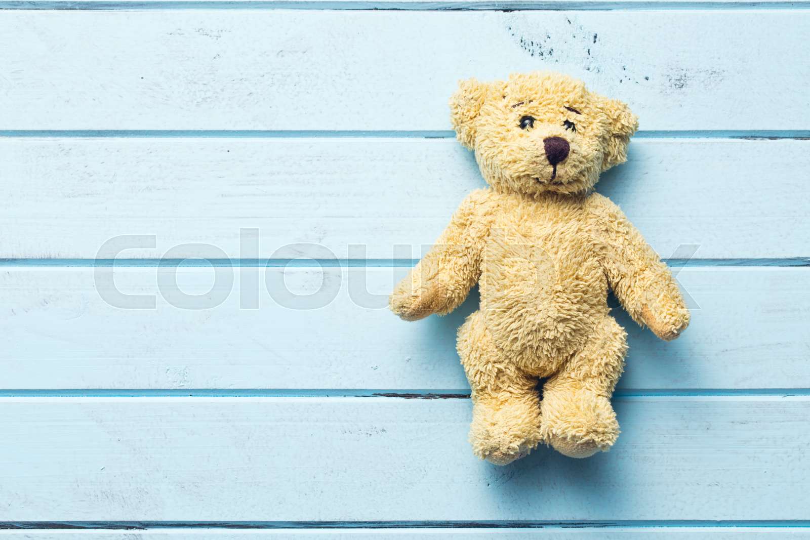 teddy bear on blue table | Stock image | Colourbox