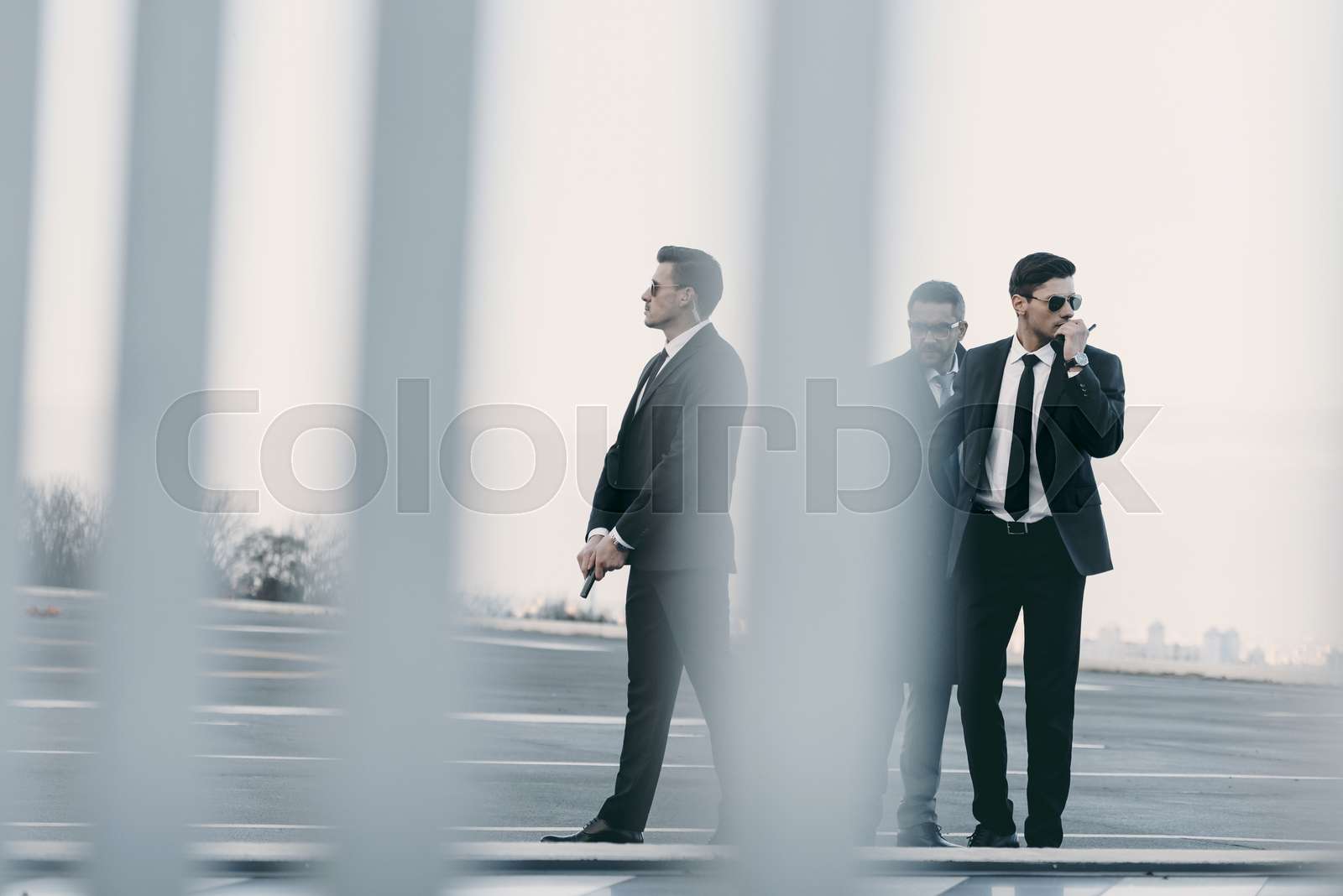 view, handsome, bodyguards | Stock image | Colourbox