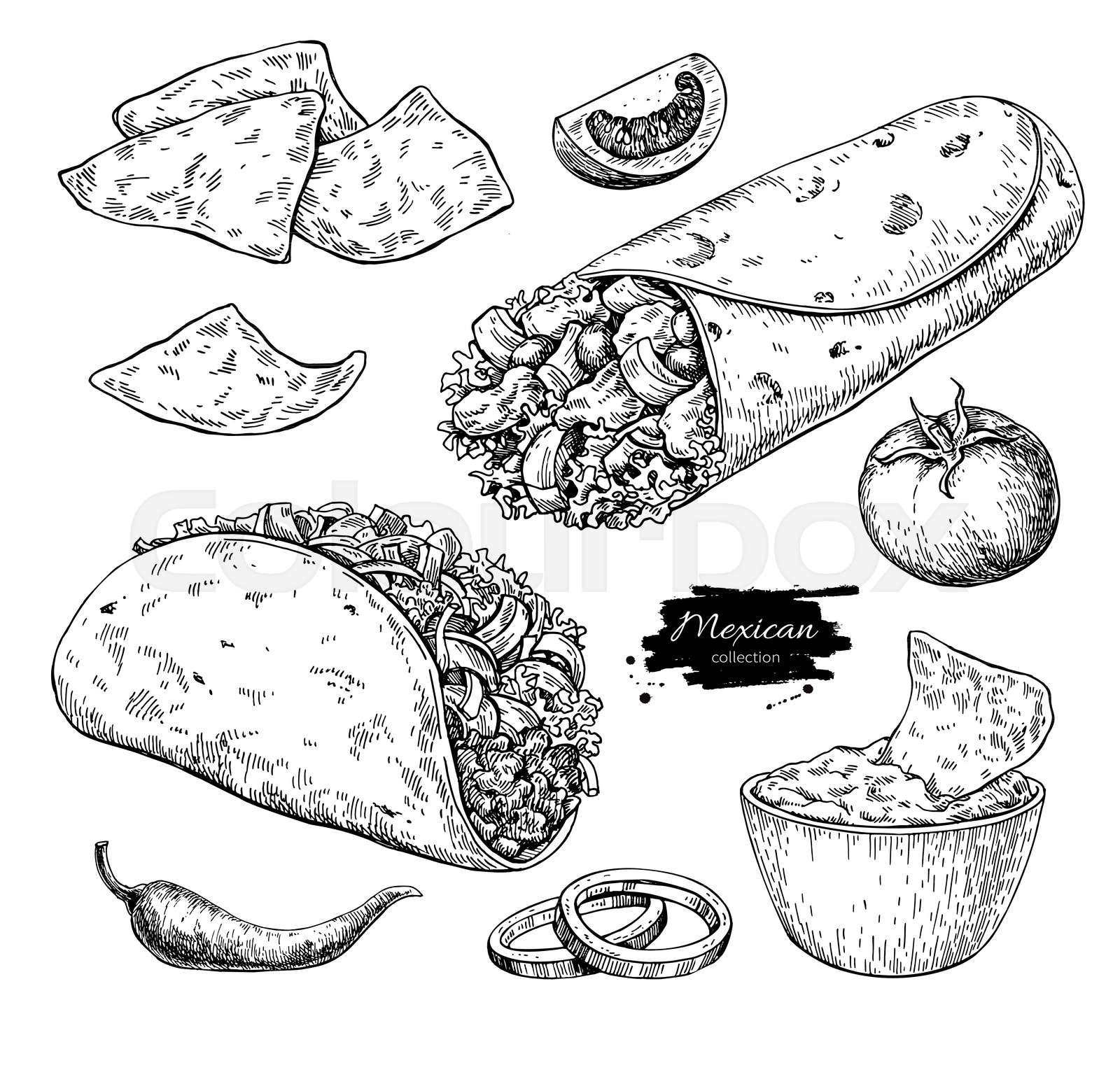 Mexican food drawing. Traditional cuisine vector illustration. | Stock ...