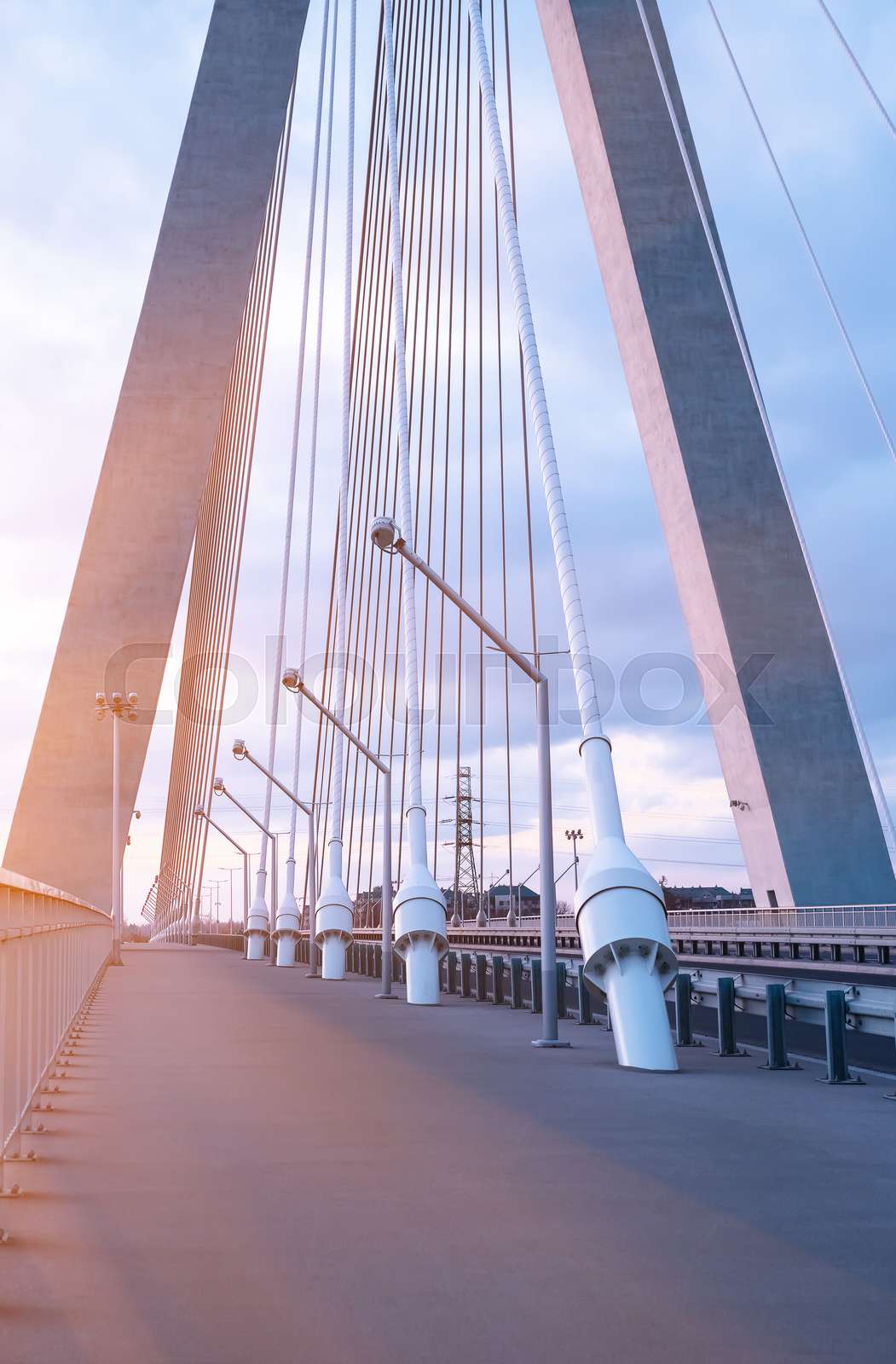 Highway going through a cable-stayed bridge | Stock image | Colourbox