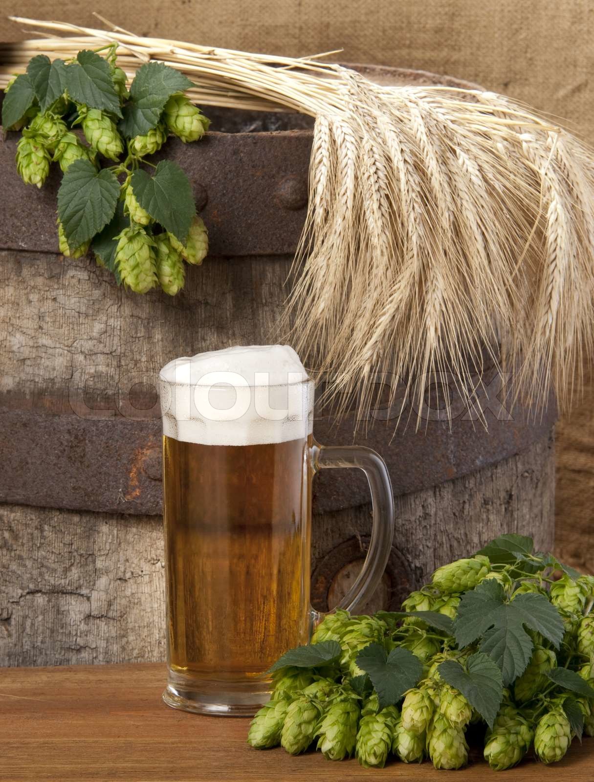 Bier und Hopfen | Stock Bild | Colourbox