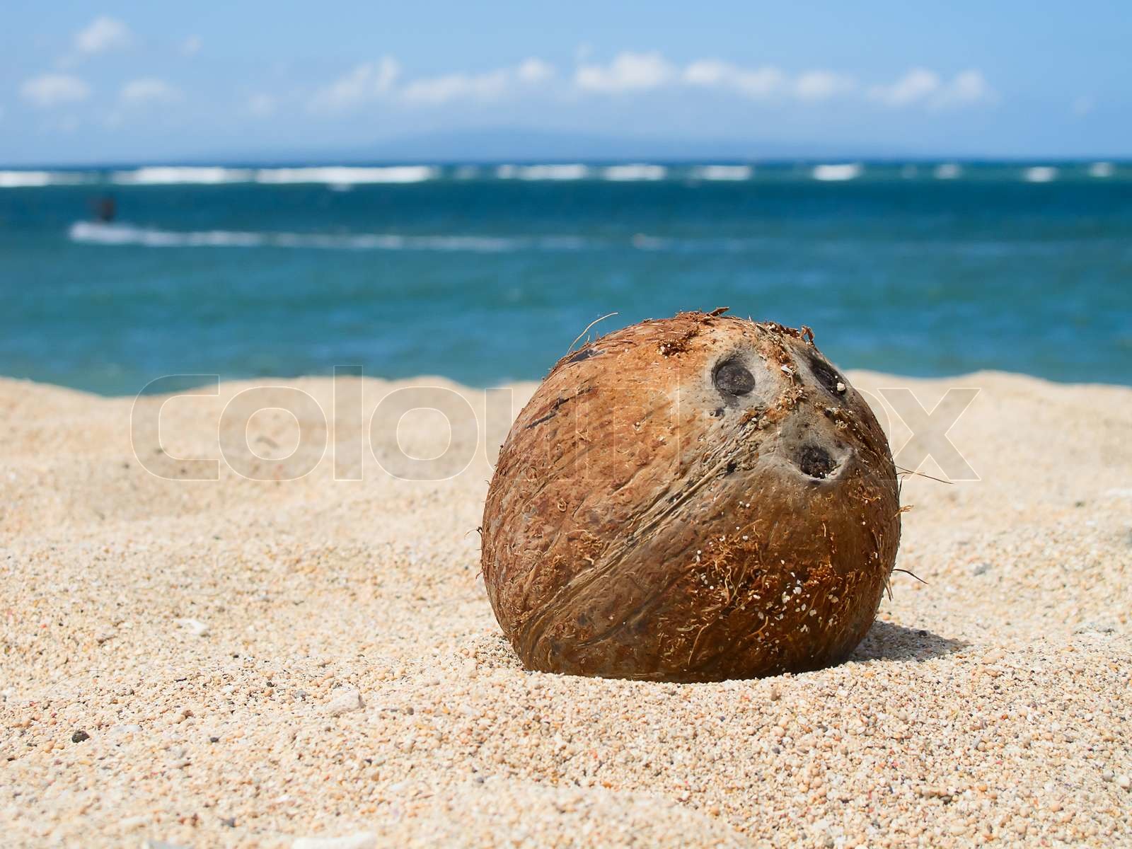 Coconut on the sand of the beach | Stock image | Colourbox