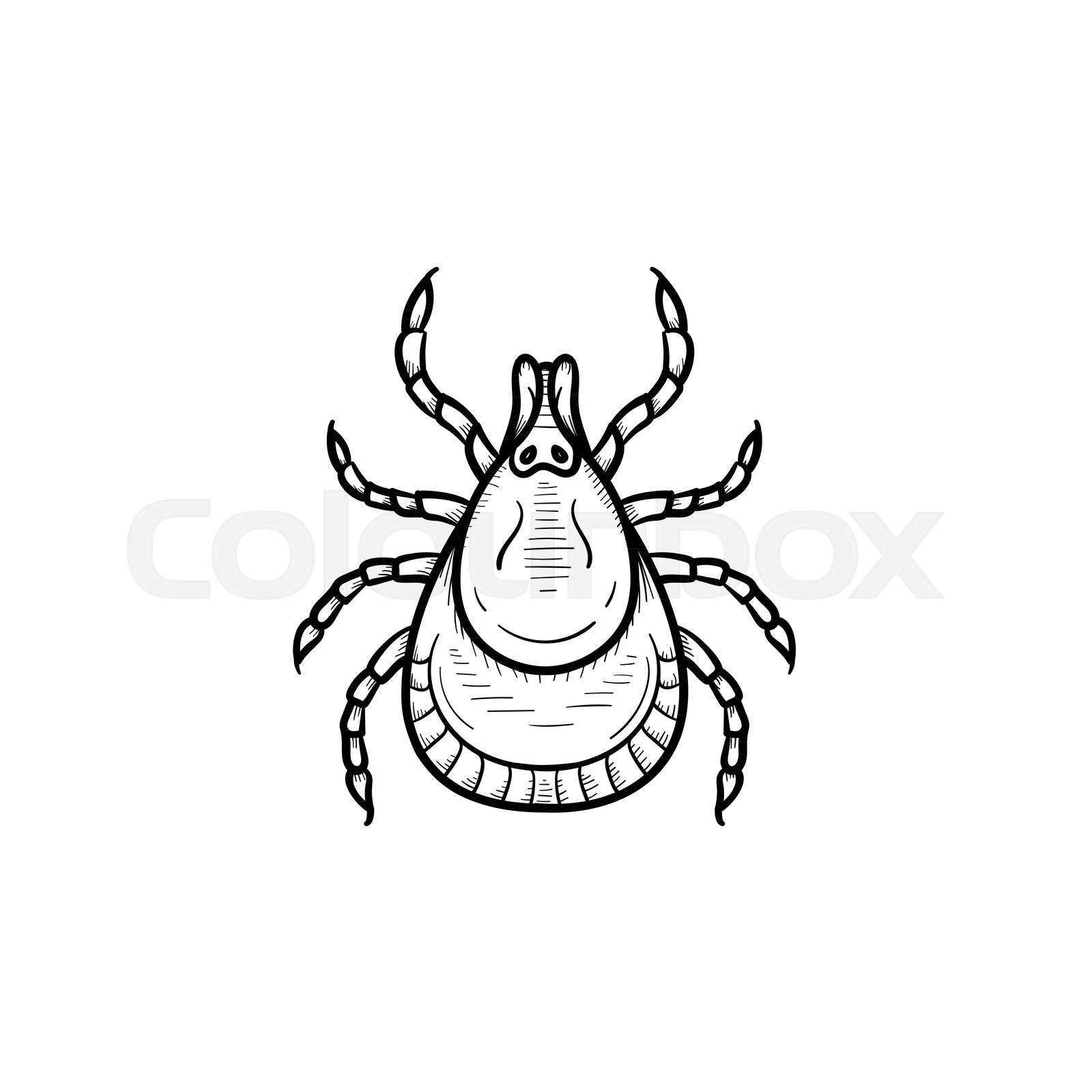 Mite hand drawn sketch icon. | Stock vector | Colourbox