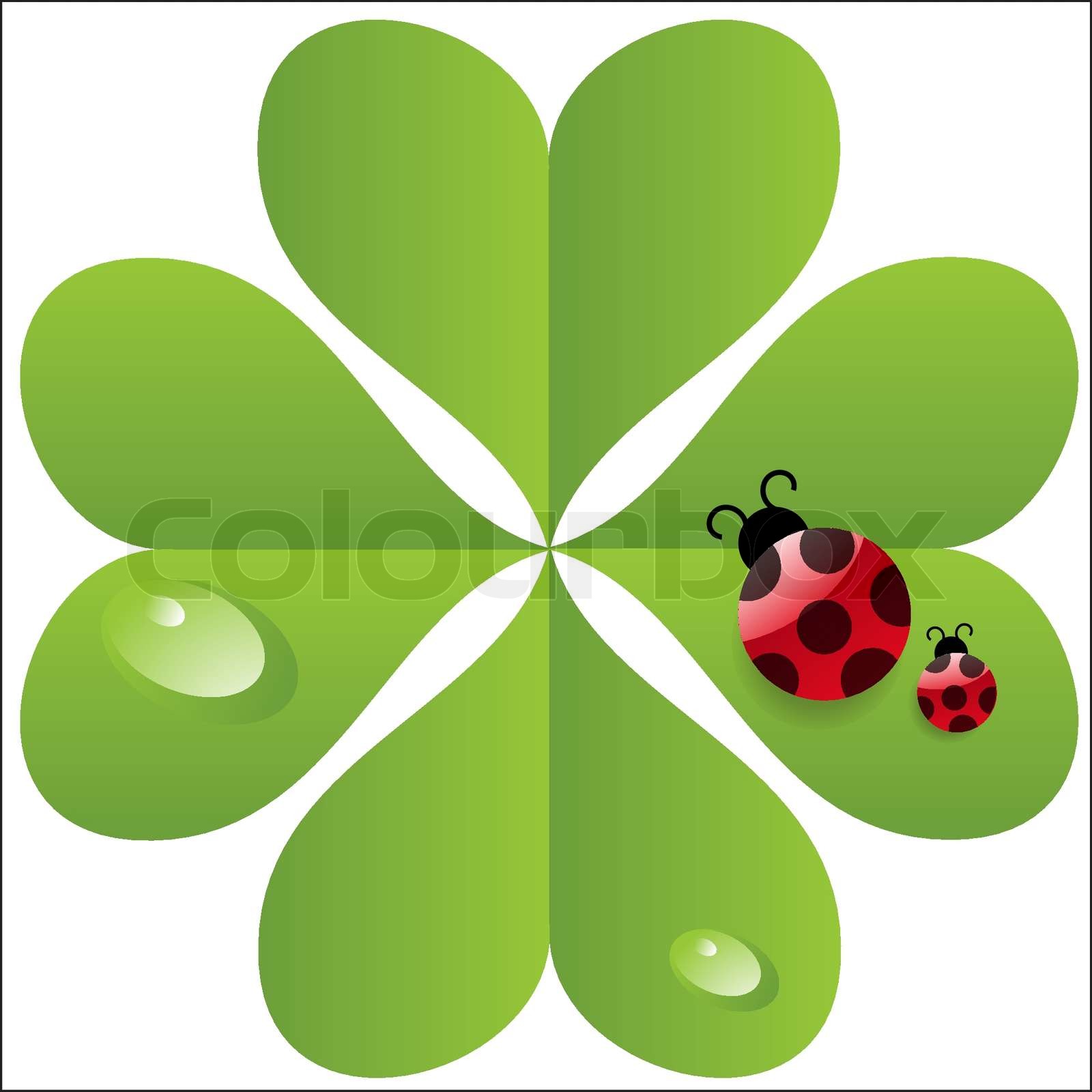 Vector Clover Leaf With Ladybird Stock Vector Colourbox