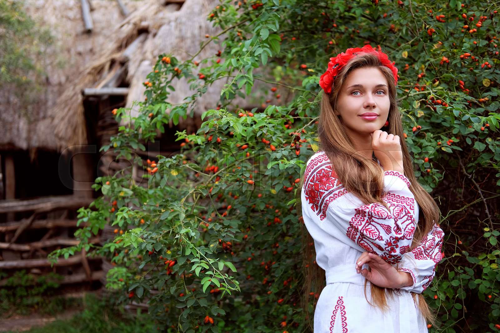 Beautiful slavonic girl in traditional costume | Stock image | Colourbox