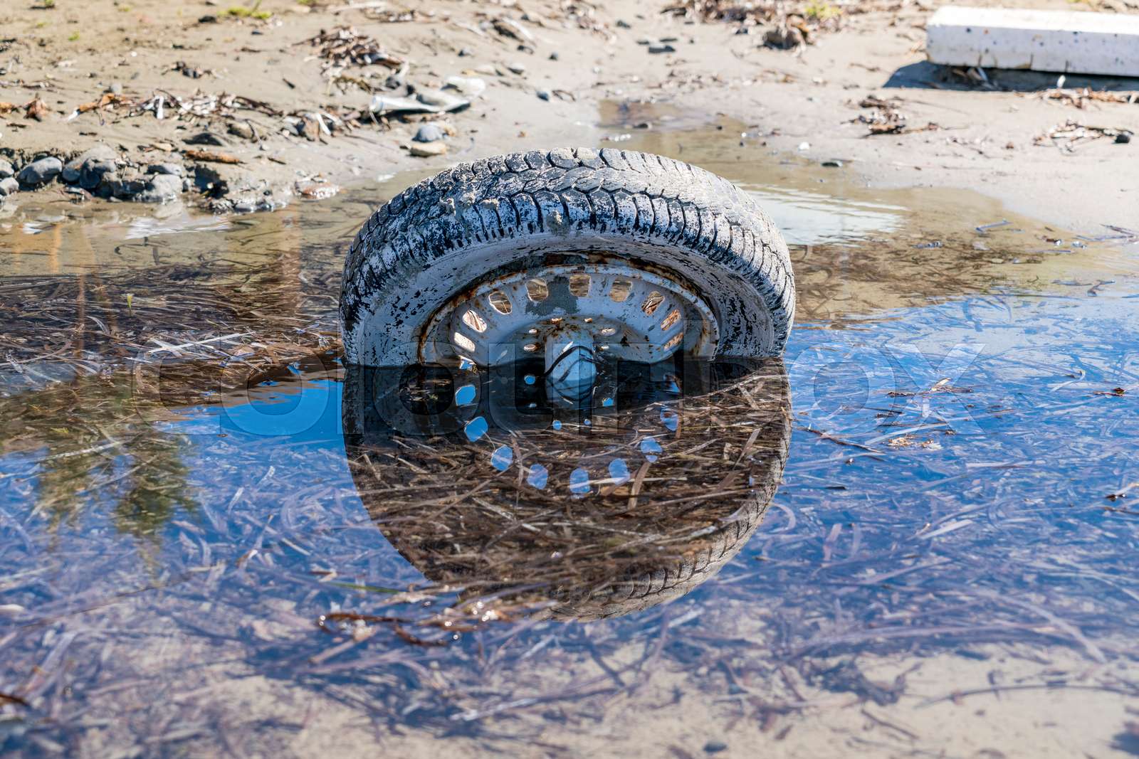 abandoned old tire laying in a puddle | Stock Bild | Colourbox