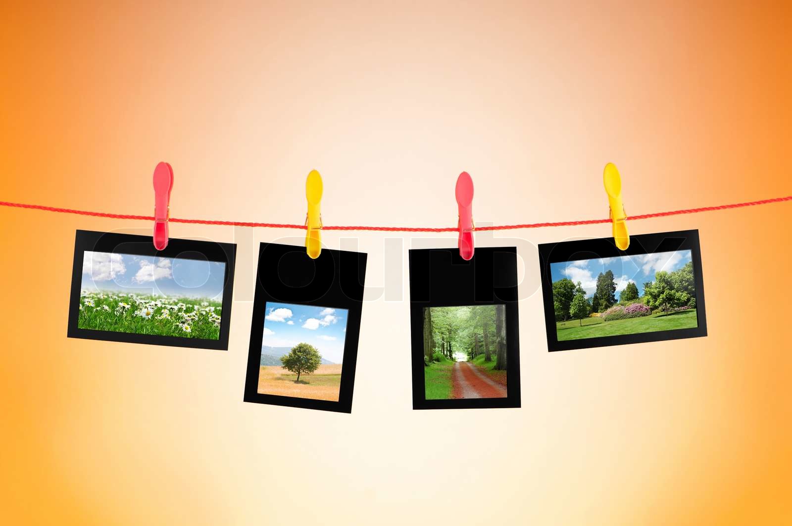 Picture frames with nature photos | Stock image | Colourbox