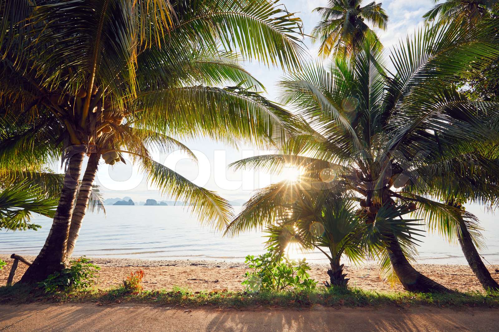 Amazing sunrise on the beach | Stock image | Colourbox