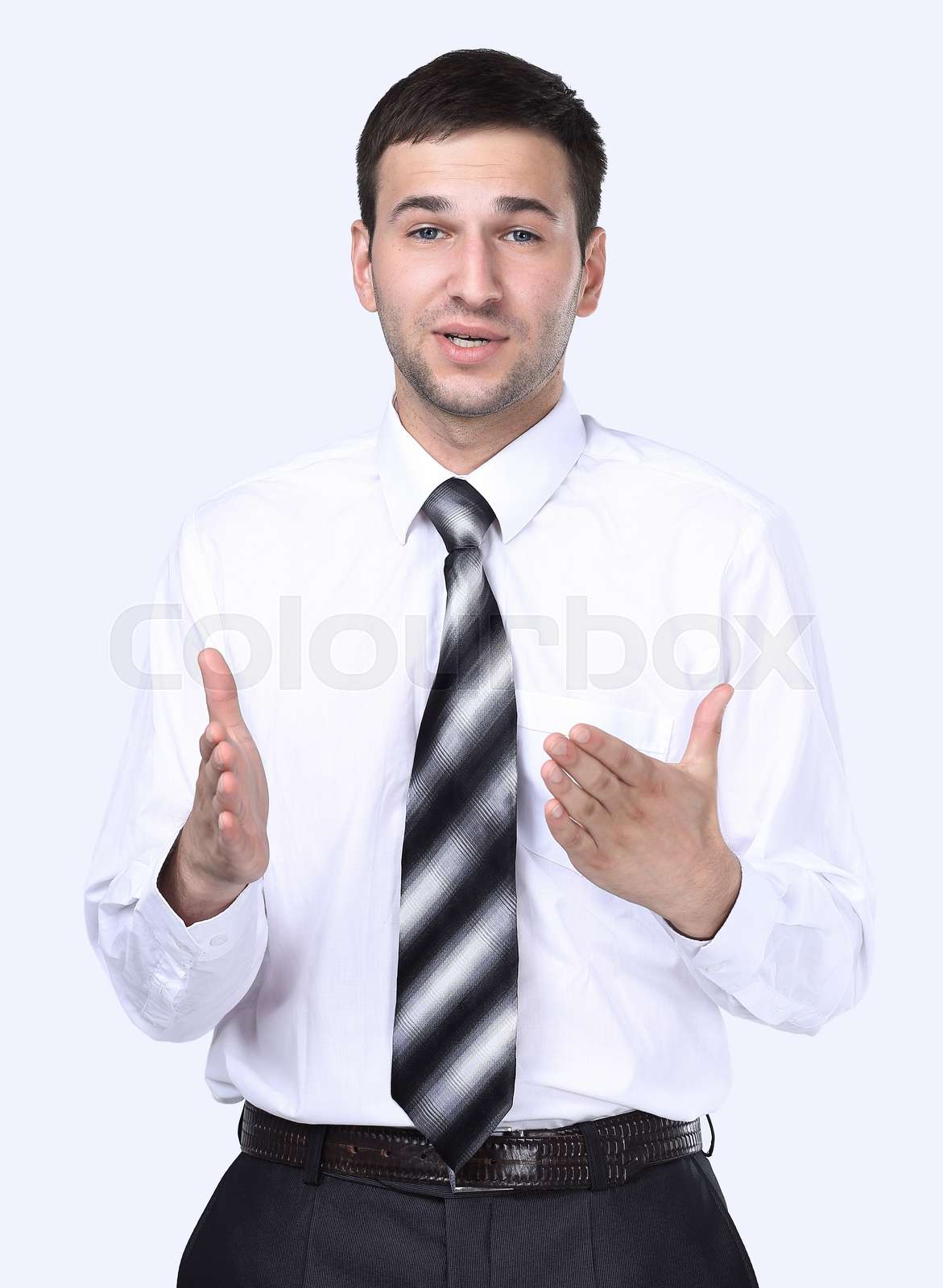 portrait of a responsible businessman | Stock image | Colourbox