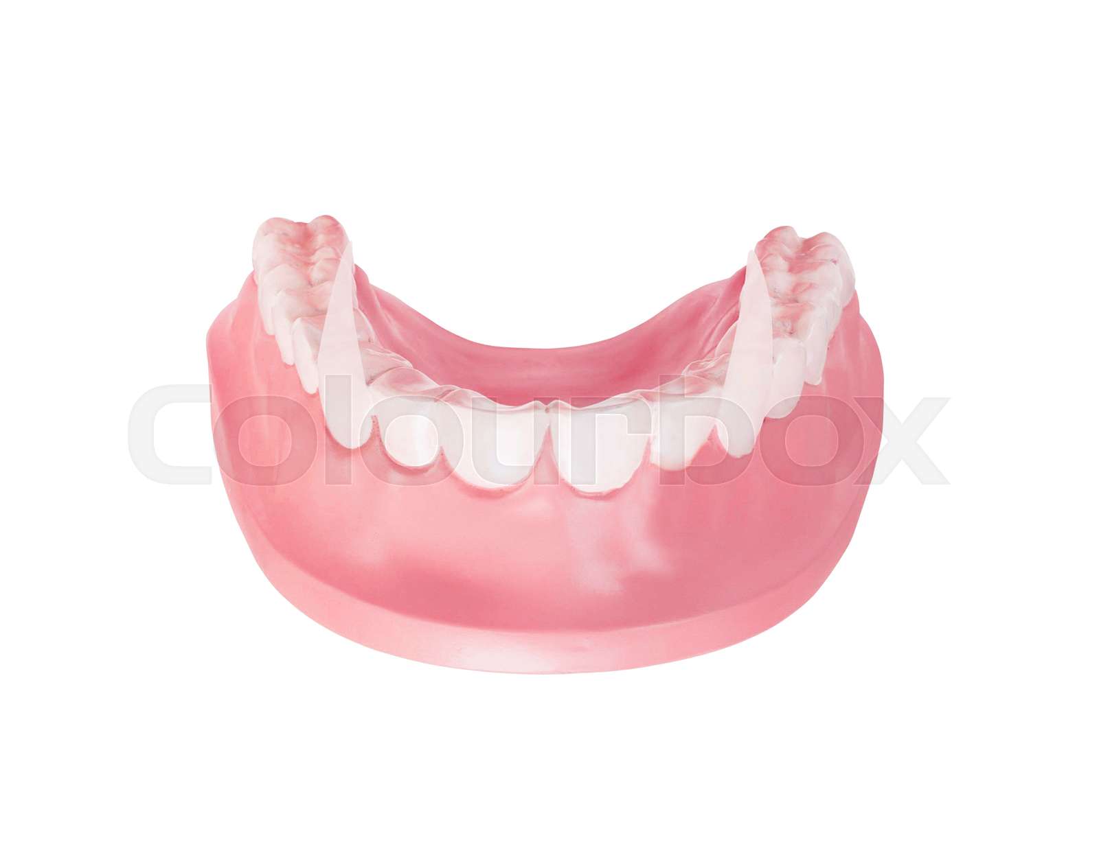 Vampire teeth isolated | Stock image | Colourbox