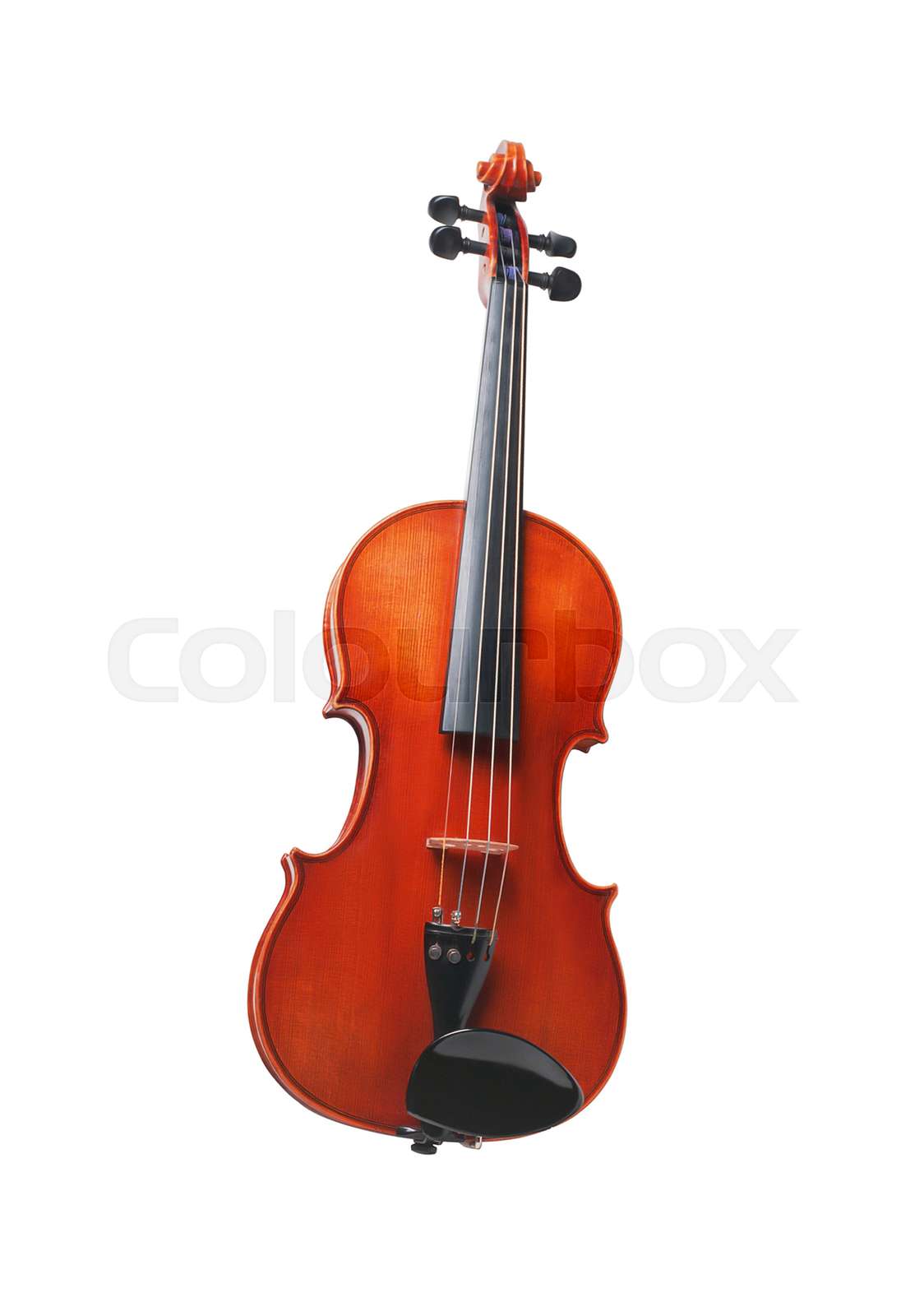 Violin front view isolated | Stock image | Colourbox