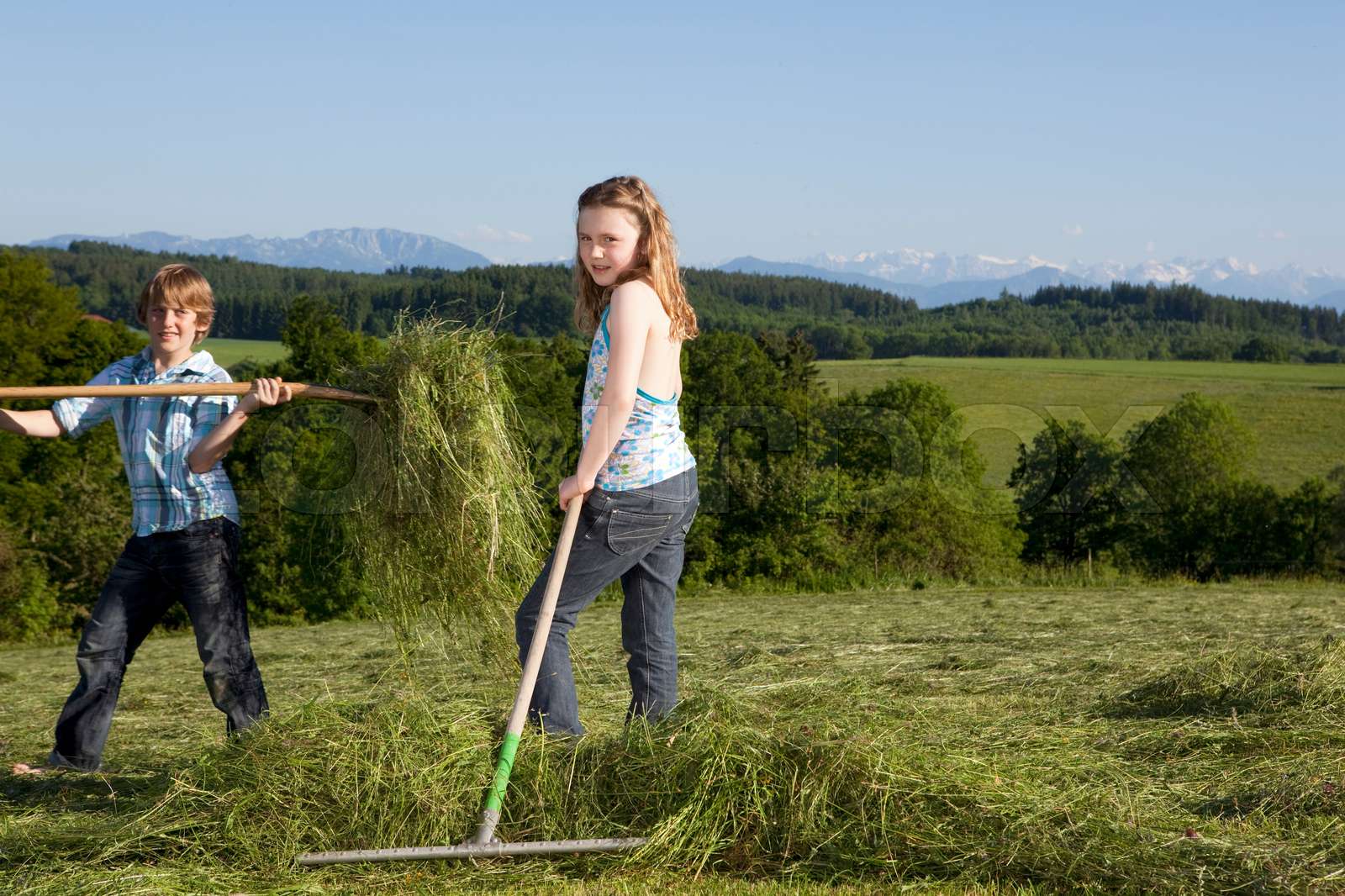 Boy and girl raking lawn | Stock image | Colourbox