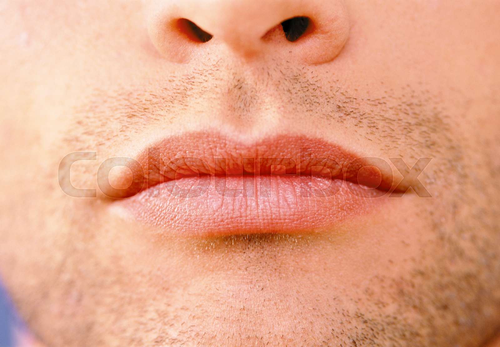 Stubble | Stock image | Colourbox