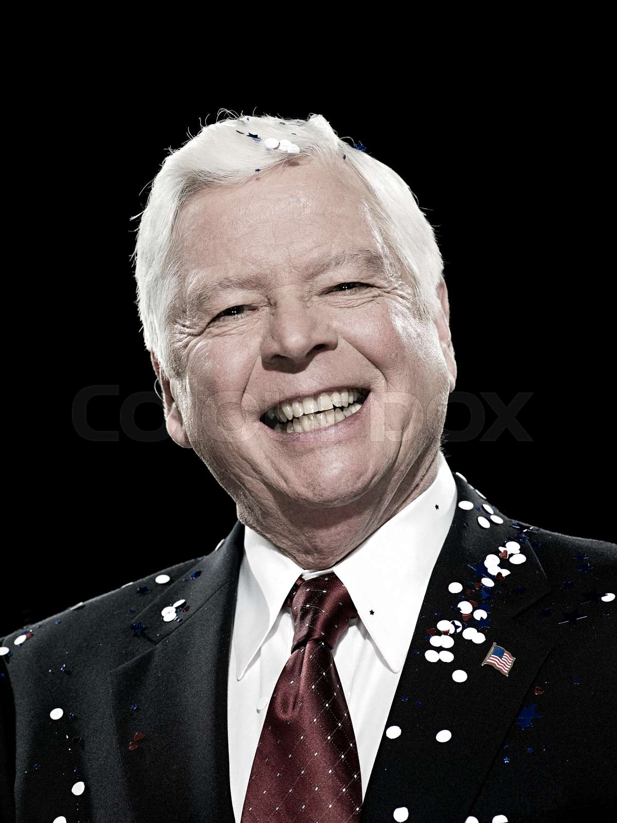 Winning politician | Stock image | Colourbox