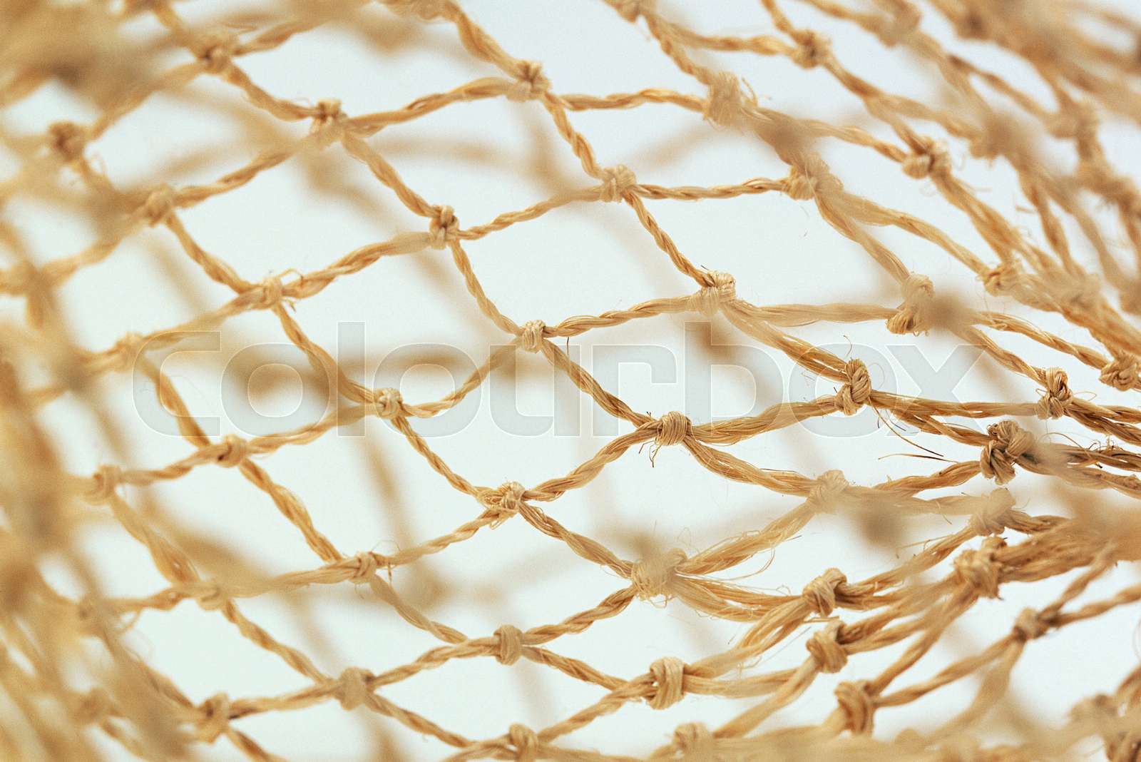 Net | Stock image | Colourbox