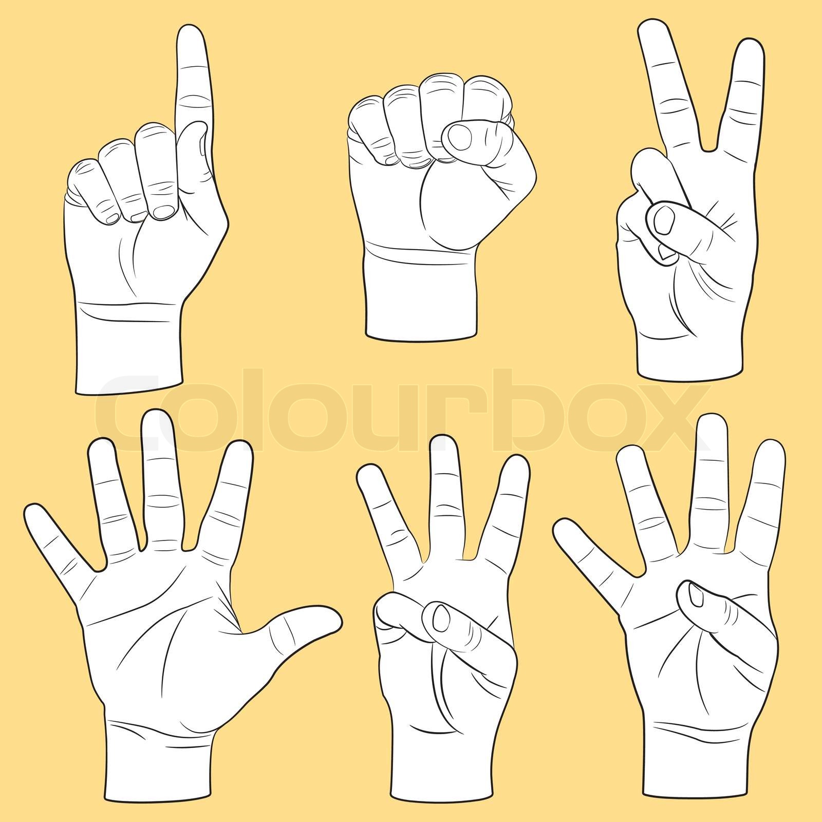 Human hands set | Stock vector | Colourbox