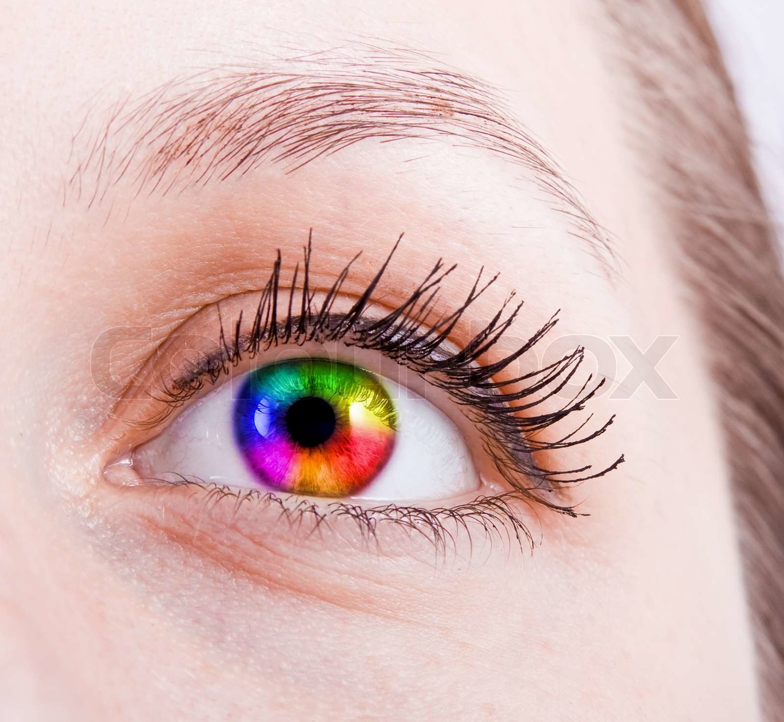 colourful human eye | Stock image | Colourbox