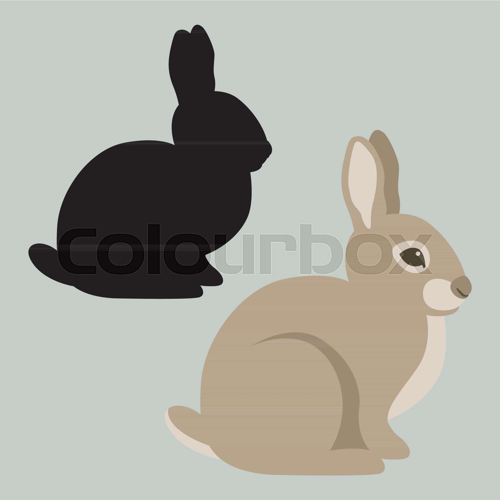 rabbit vector illustration | Stock vector | Colourbox