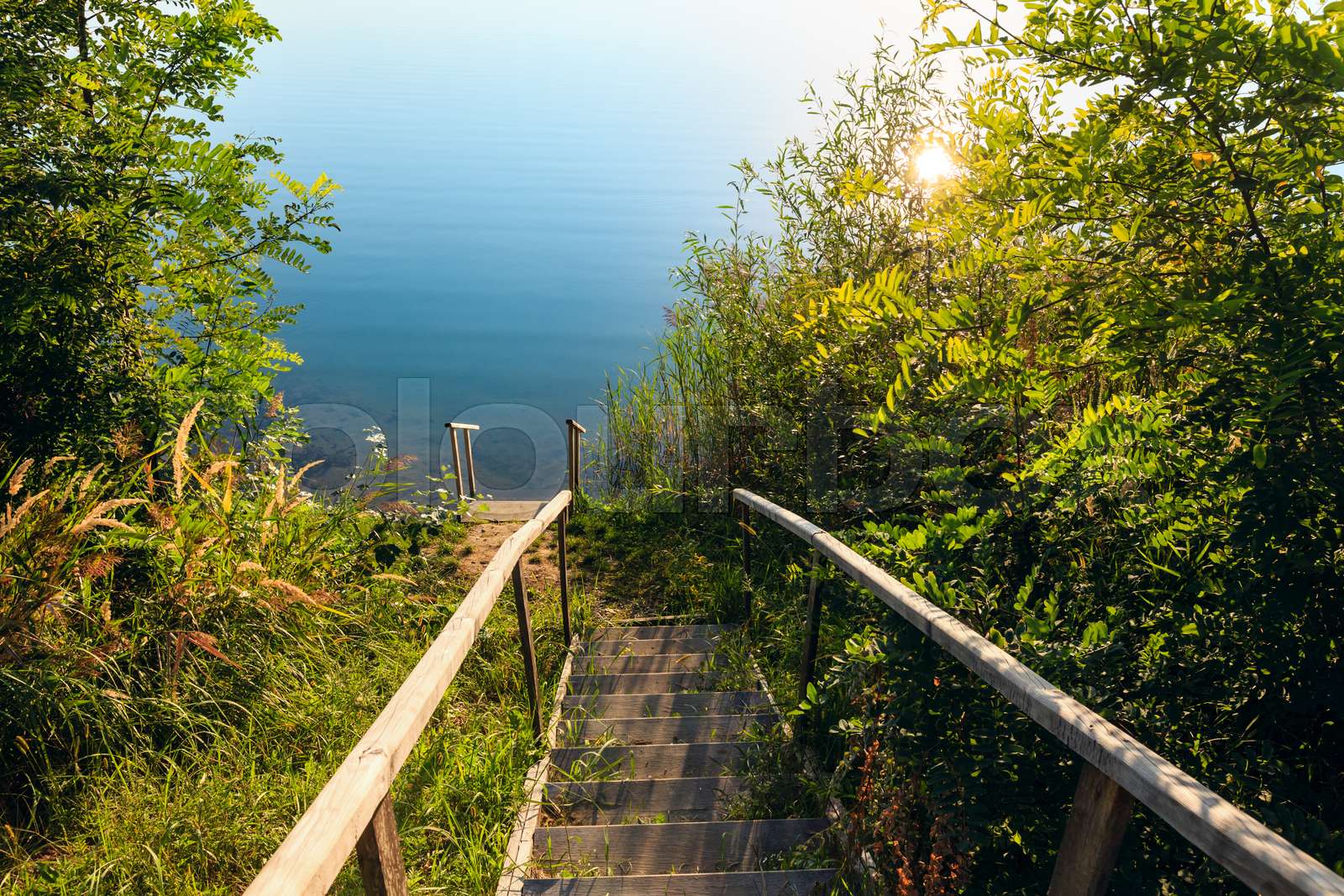 Wooden stairs to summer lake | Stock image | Colourbox